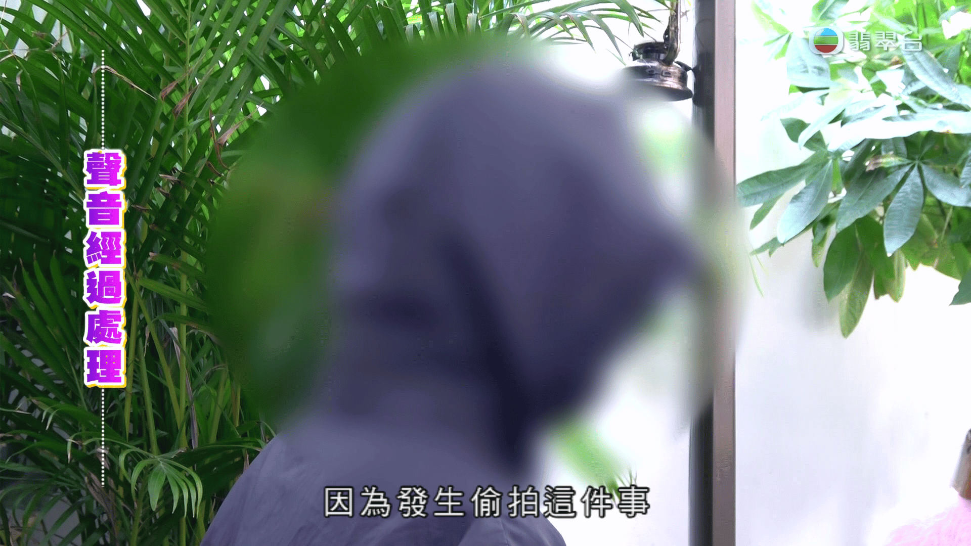 [TVB] 東張西望討論區 (139) | LIHKG 討論區