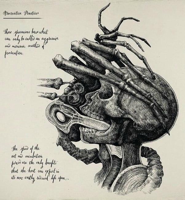 啱啱睇到件嘢幾正 | LIHKG 討論區