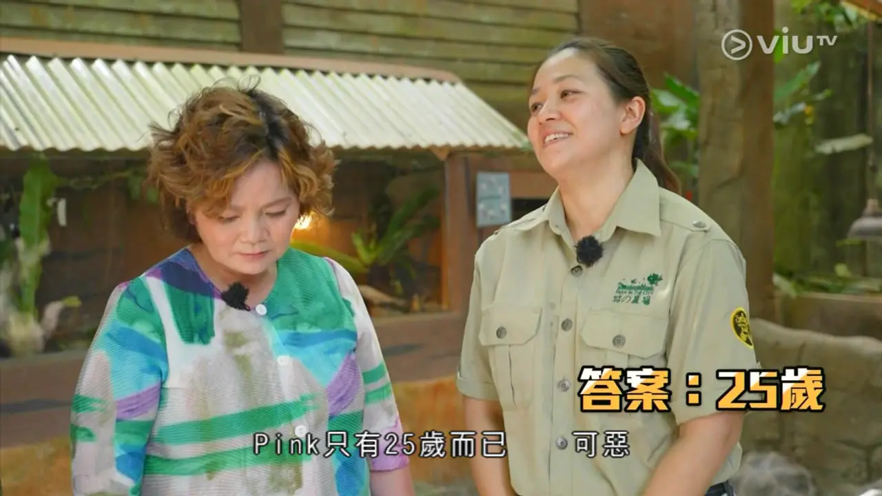 [ViuTV] [睇媚姨] Auntie 妳好東南亞玩番轉 週一至五 2300-2330 (2) | LIHKG 討論區