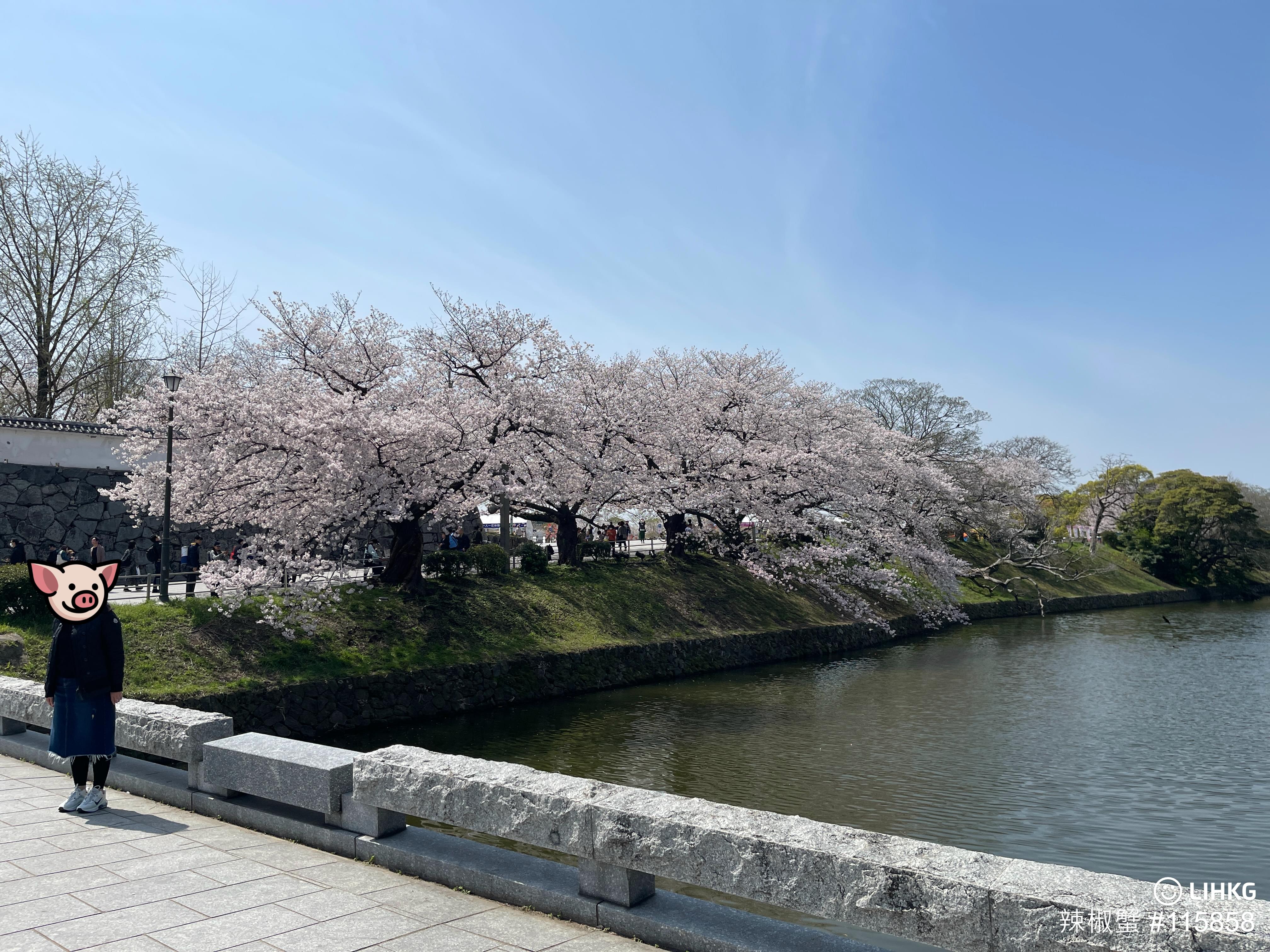 日本WH - 過得最唔似「我」既一年 (2) | LIHKG 討論區