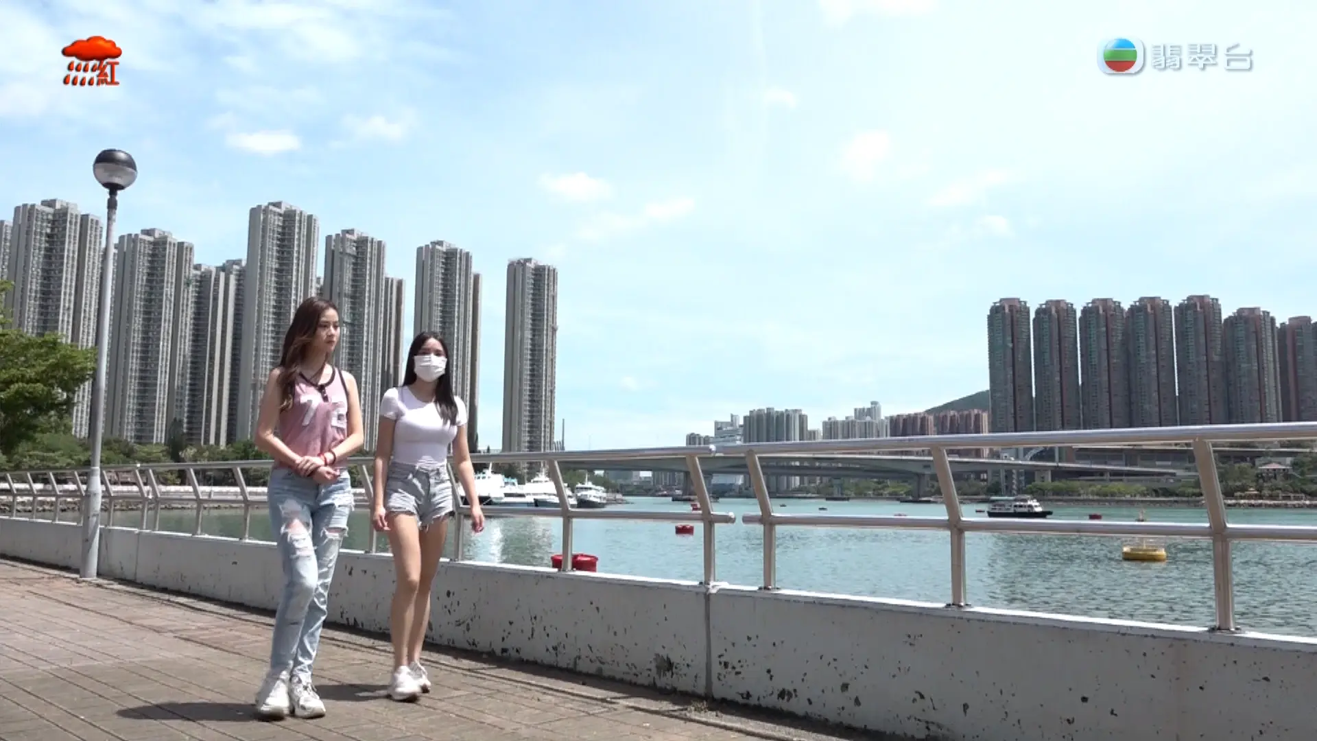 [TVB] 東張西望討論區(253) | LIHKG 討論區