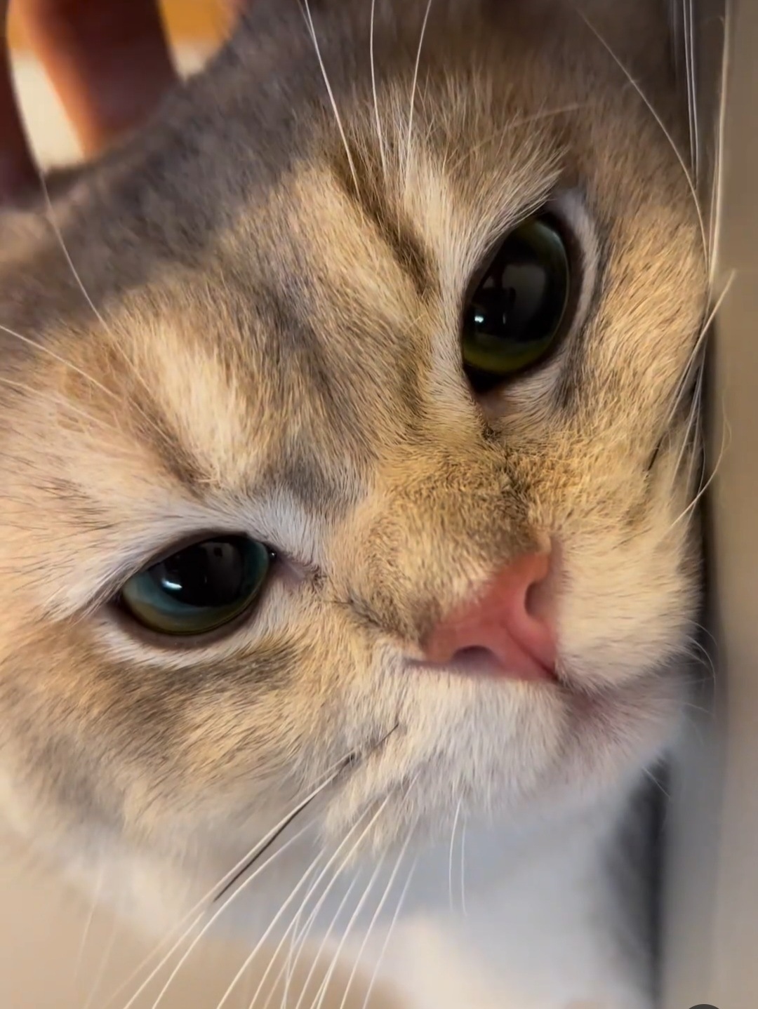 曾經，我是一個好人 | LIHKG 討論區