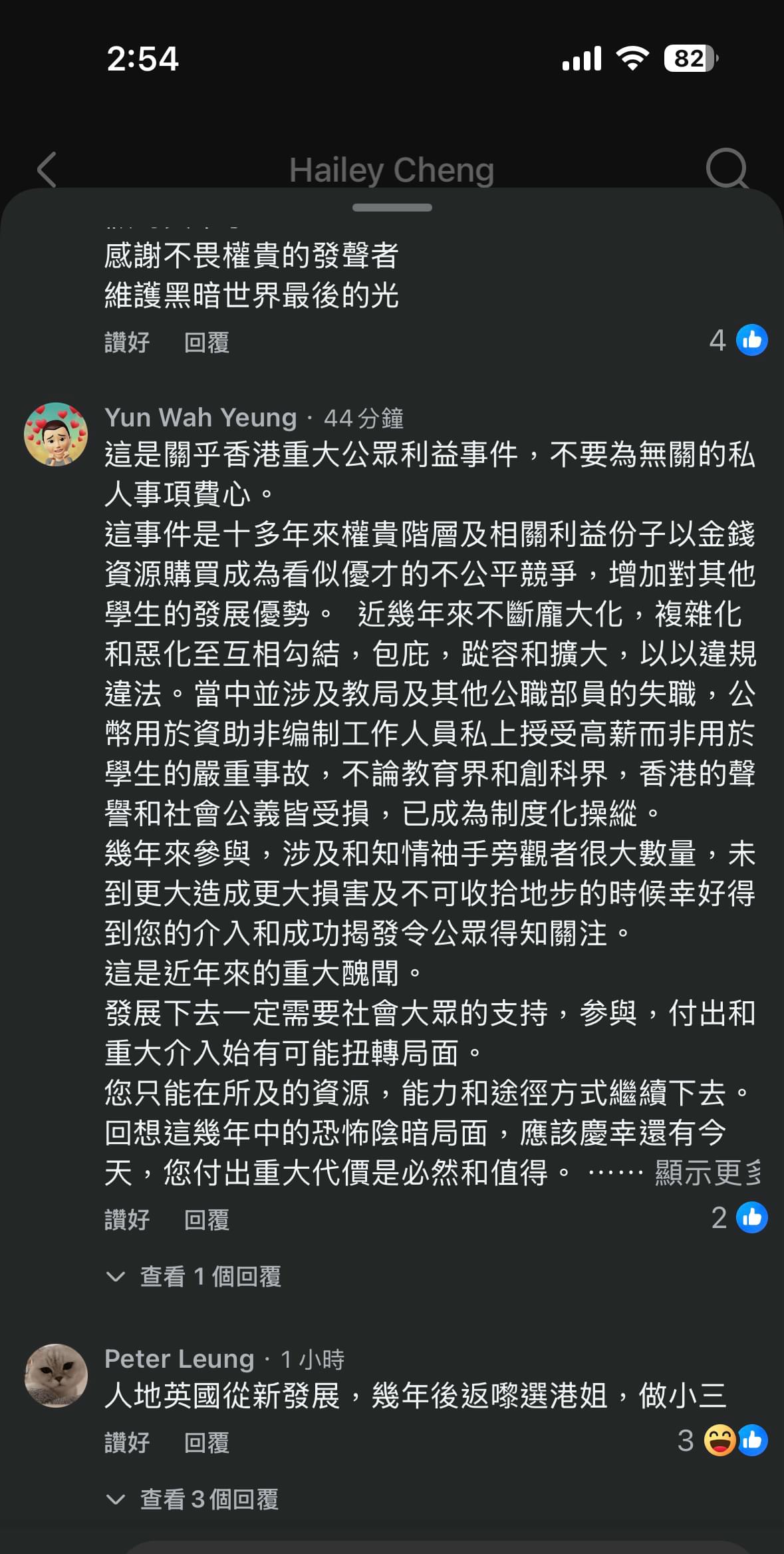 Hailey Cheng比左幾多錢班打手去佢d post留言？ | LIHKG 討論區