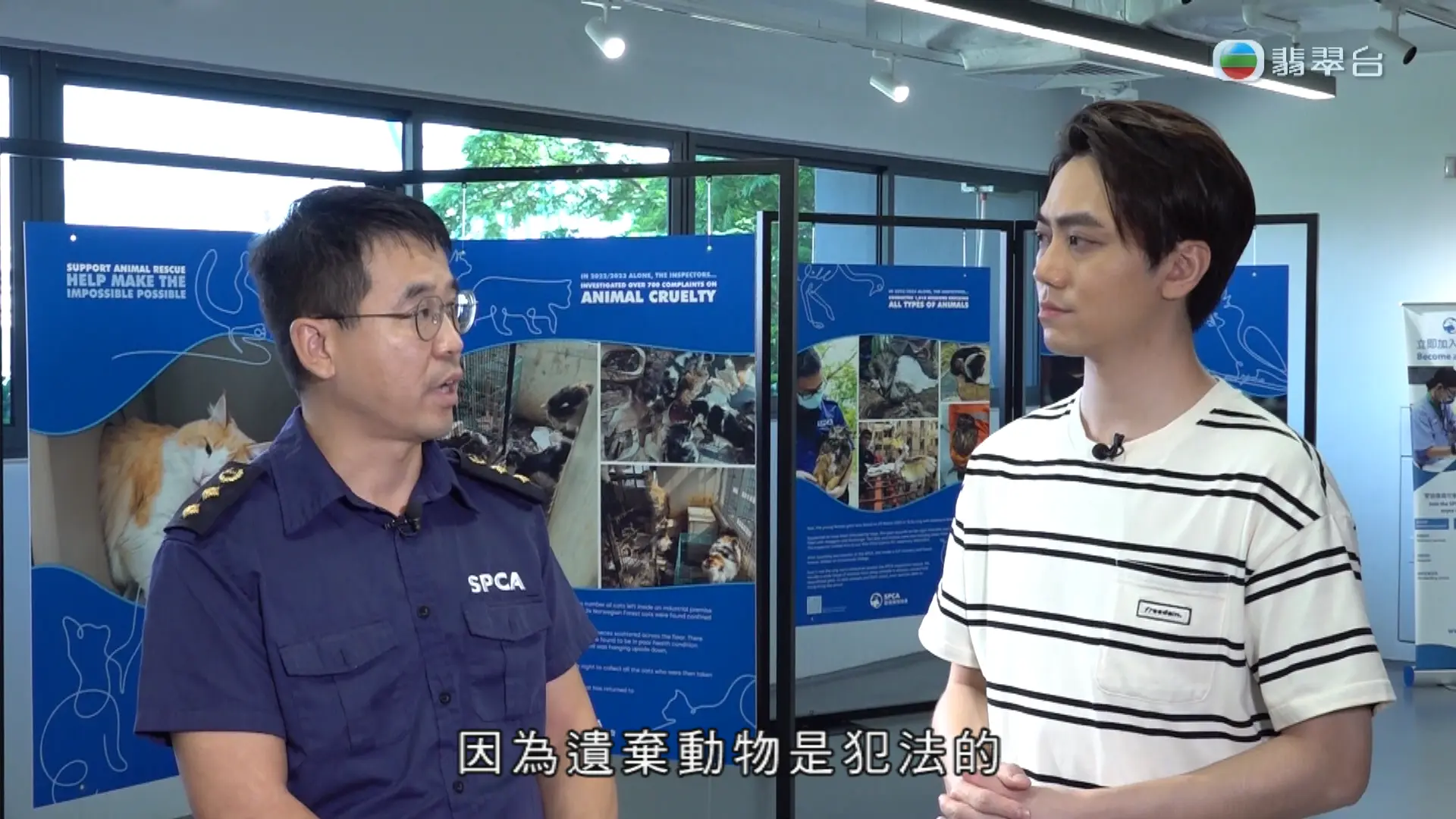 [TVB] 東張西望討論區 (175) | LIHKG 討論區