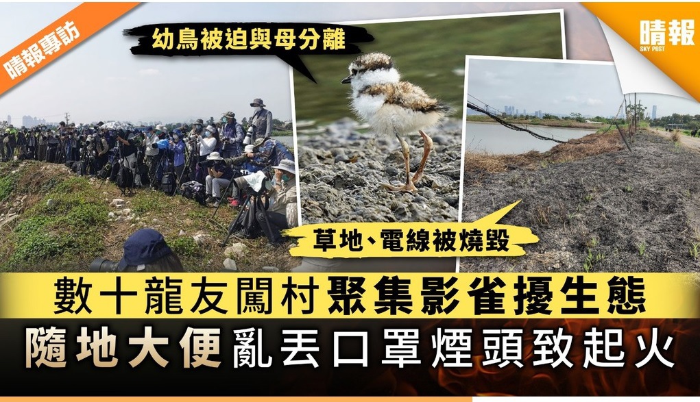 影雀大師烏鴉#104387教你如何構圖 | LIHKG 討論區