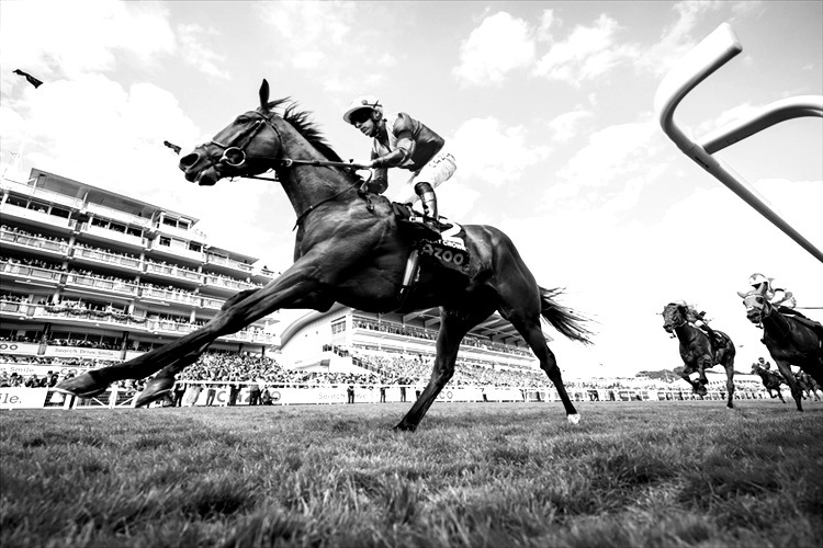 [浪漫勇士能否重整旗鼓？] 十月海外賽事討論區 X | LIHKG 討論區