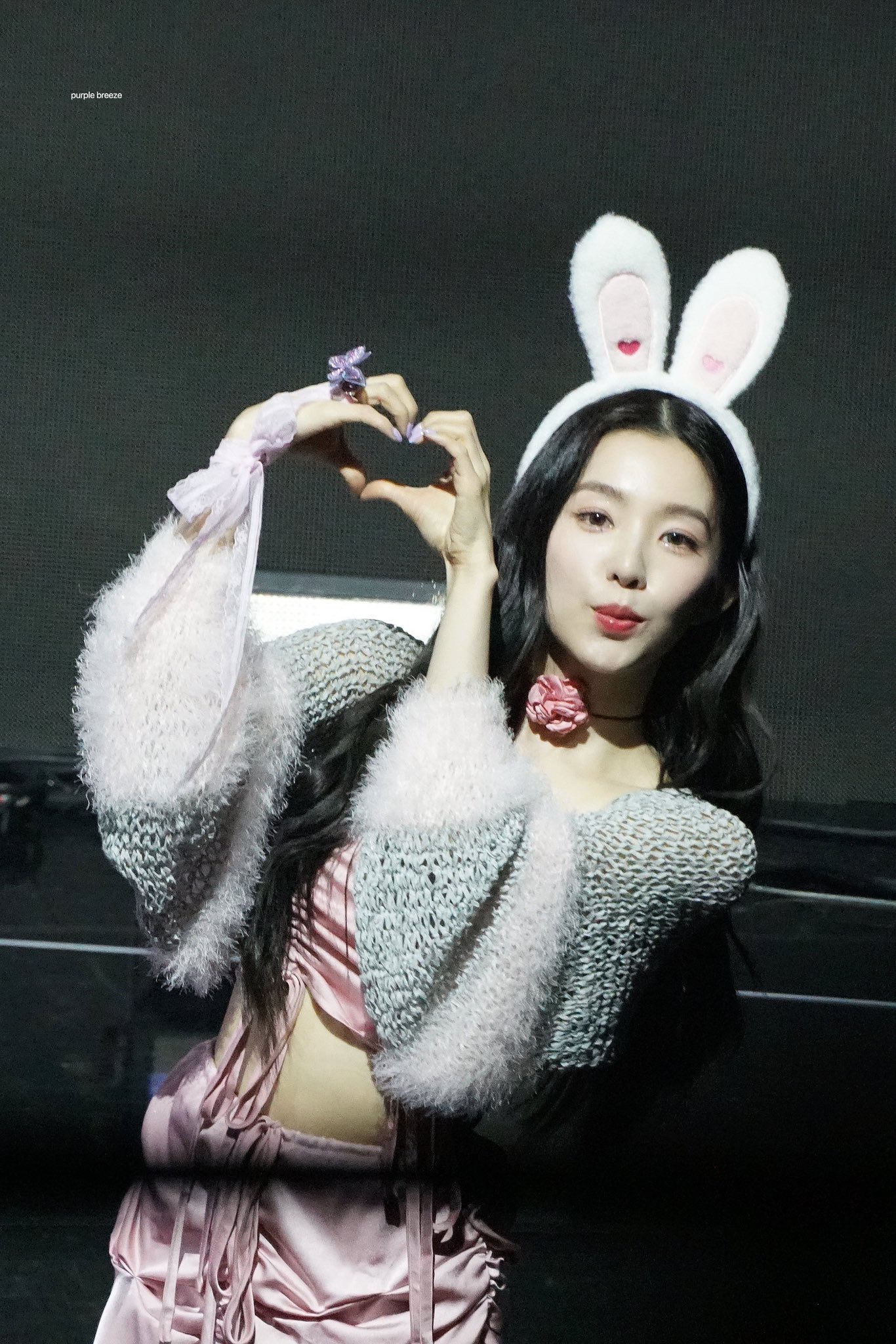 Irene 化身Iriana Grande | LIHKG 討論區