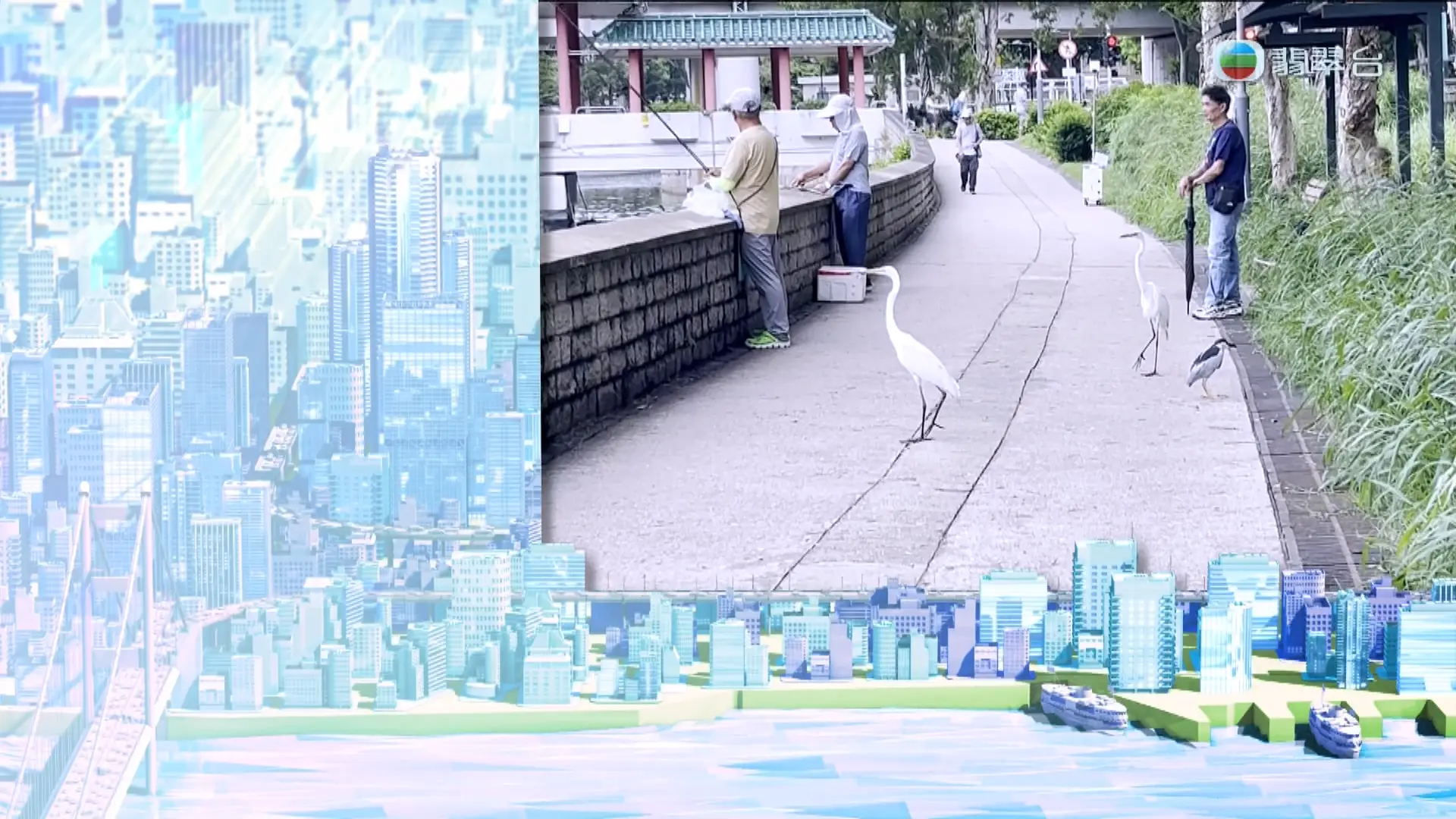 [TVB] 東張西望討論區(257) | LIHKG 討論區