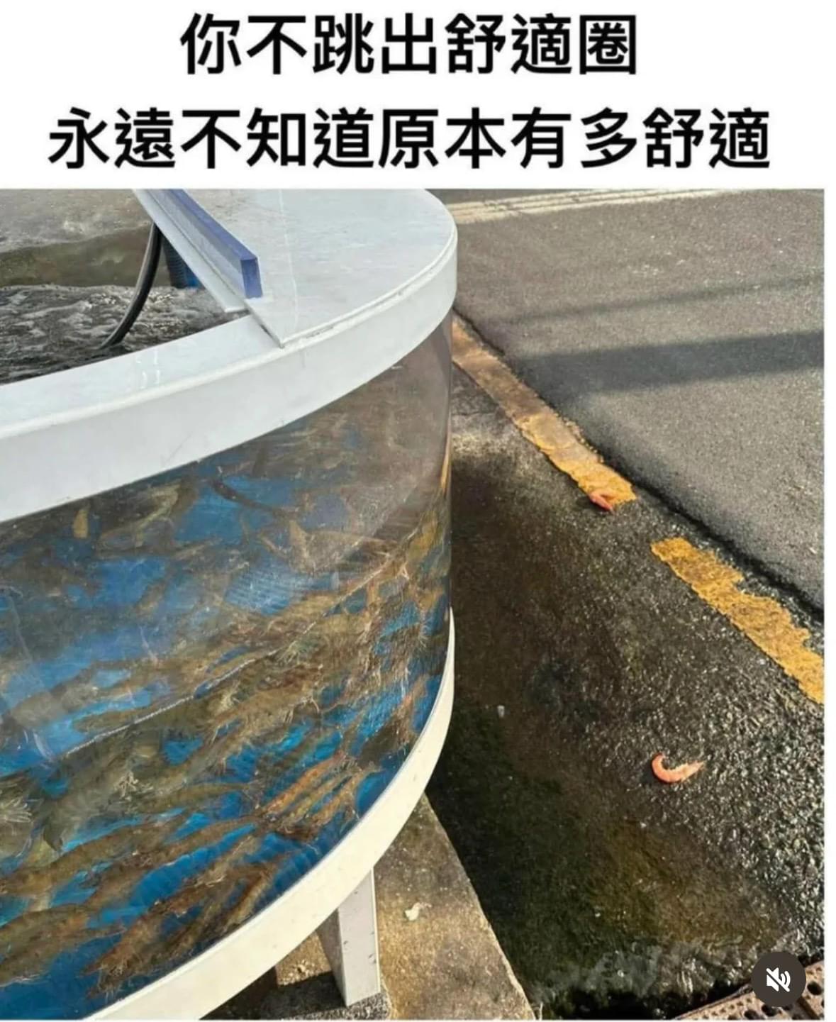 出到黎做野先發覺其實都有幾大部分既人都唔想升職，keep 番住係舒適區 | LIHKG 討論區