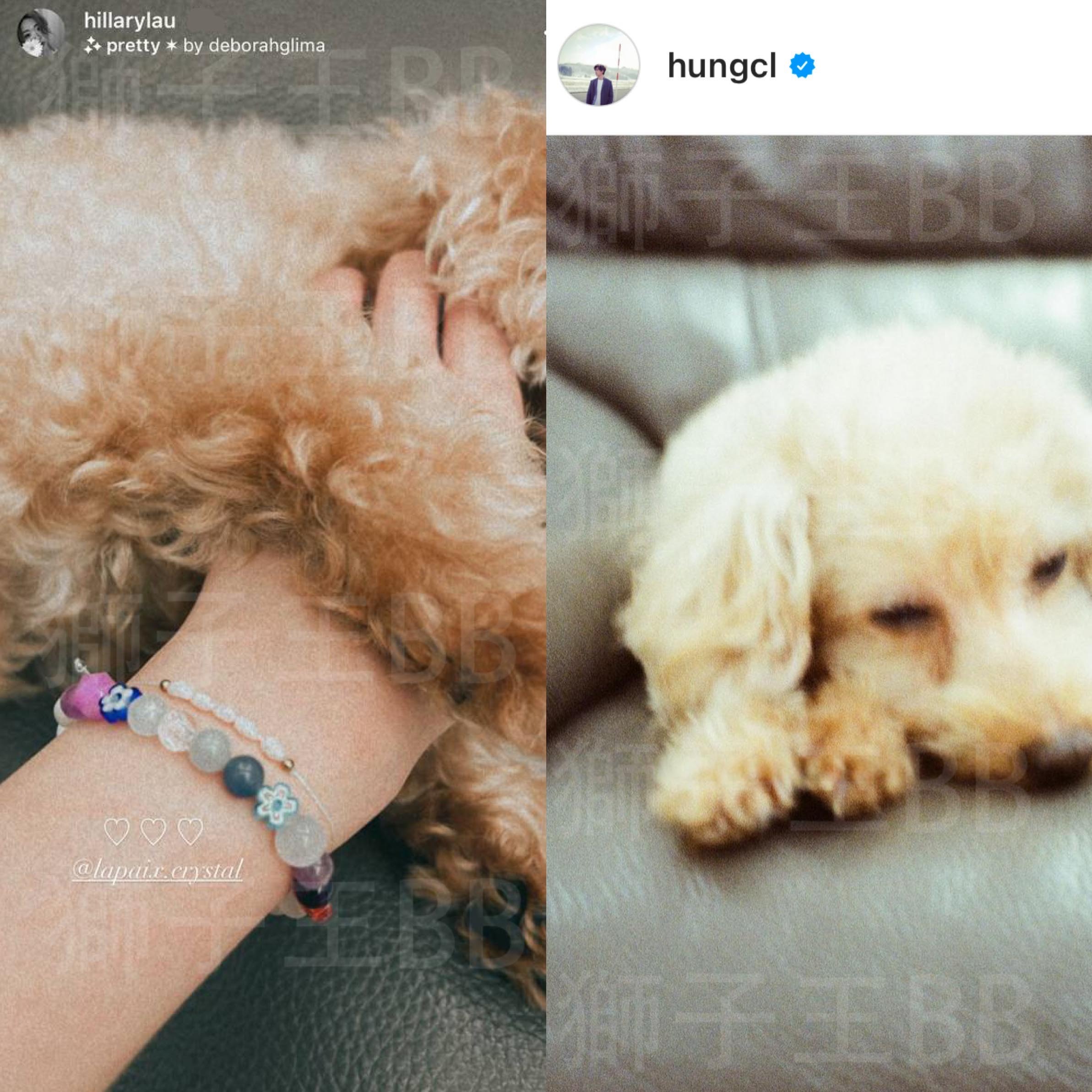 【超多圖】洪卓立 Hillary 真係好朋友咁簡單？ | LIHKG 討論區