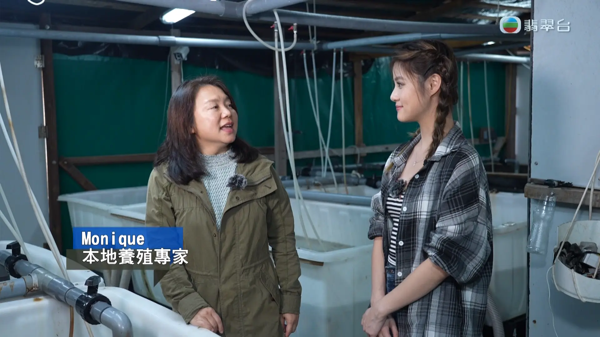 [TVB] 東張西望討論區 (193) | LIHKG 討論區