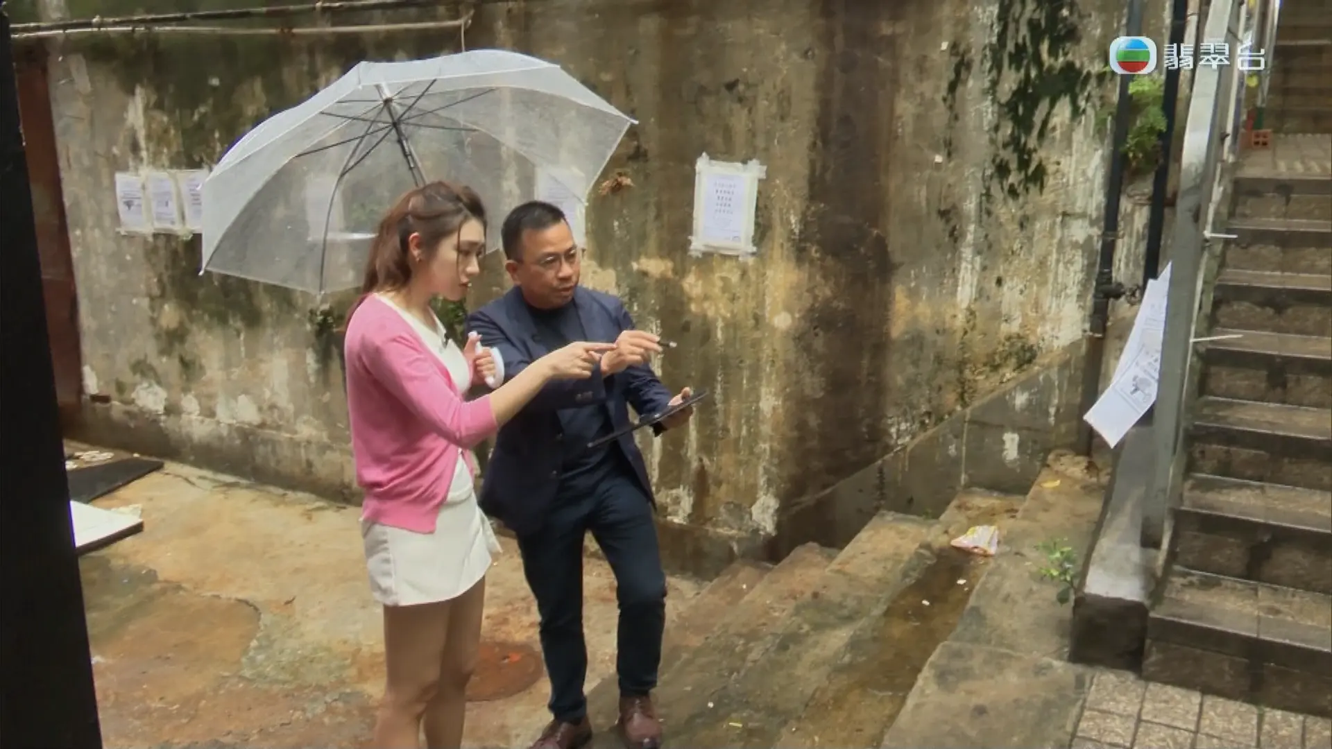 [TVB] 東張西望討論區 (163) | LIHKG 討論區