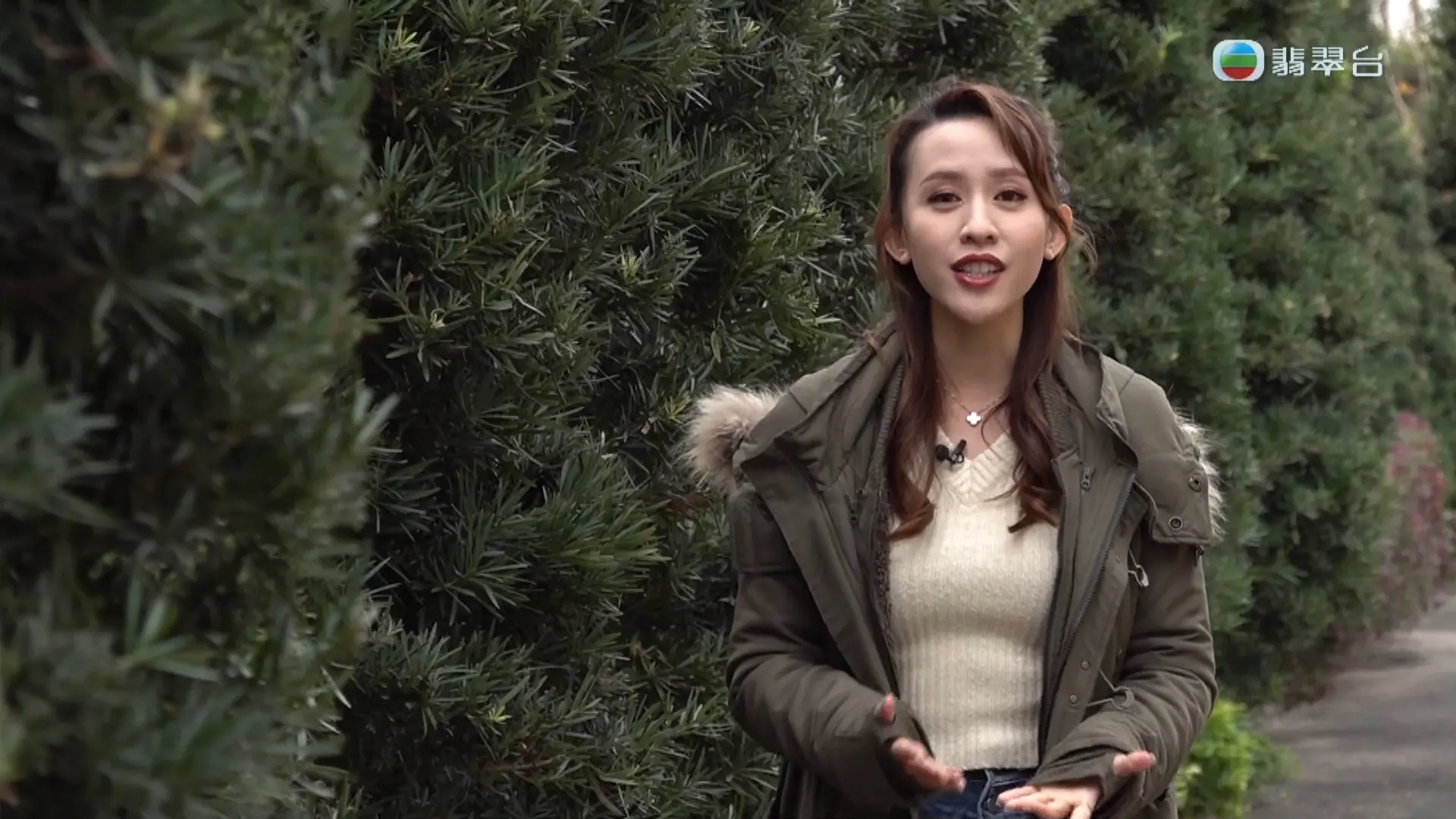 [TVB] 東張西望討論區 (225) | LIHKG 討論區