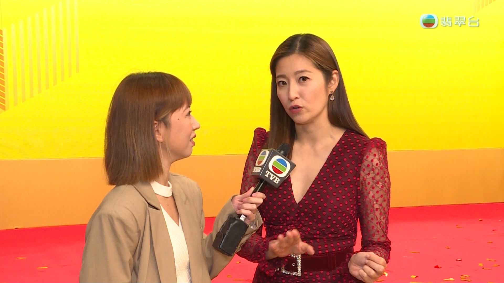 [TVB] 東張西望討論區 (81) | LIHKG 討論區