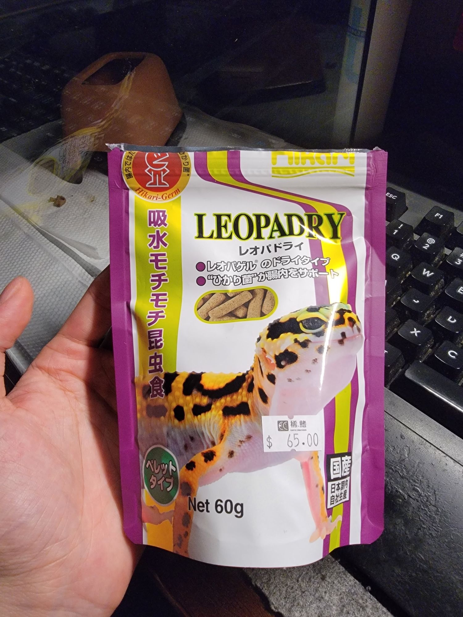 兩舊水買咗隻豹紋守宮bb | LIHKG 討論區