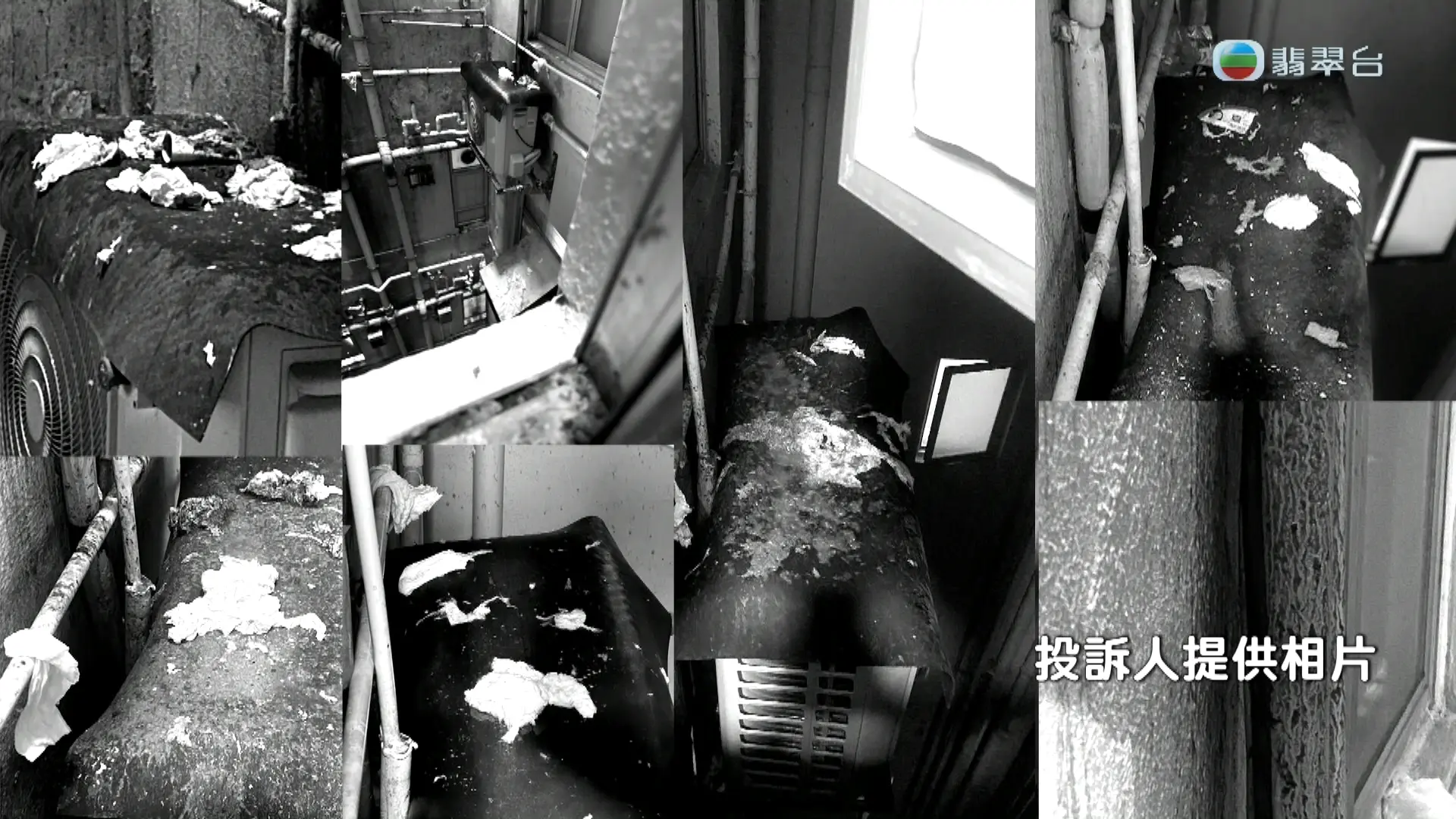 [TVB] 東張西望討論區(256) | LIHKG 討論區