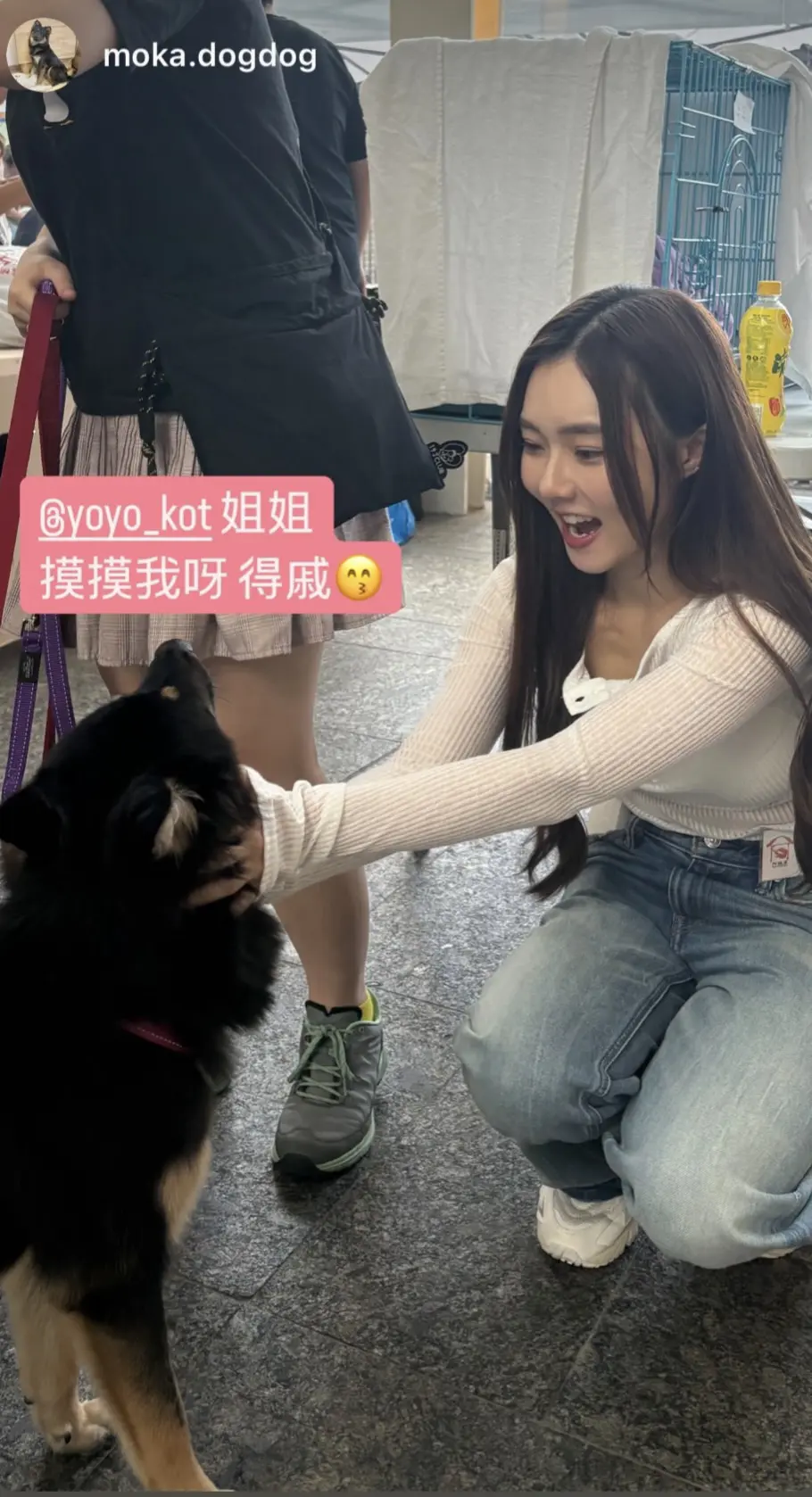 [無圖]想做隻狗比Yoyo撚 | LIHKG 討論區