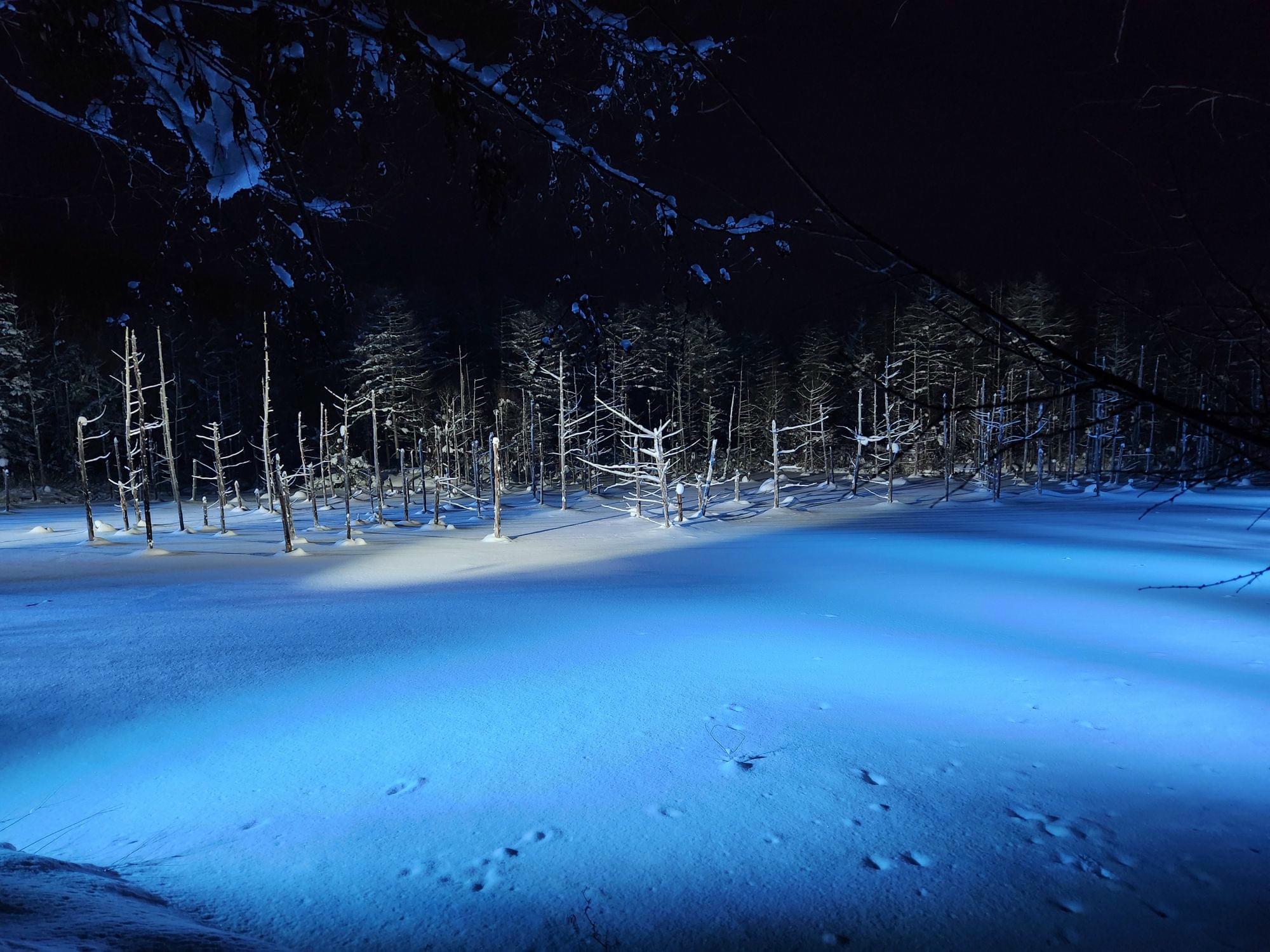 北海道圍爐區21 | LIHKG 討論區