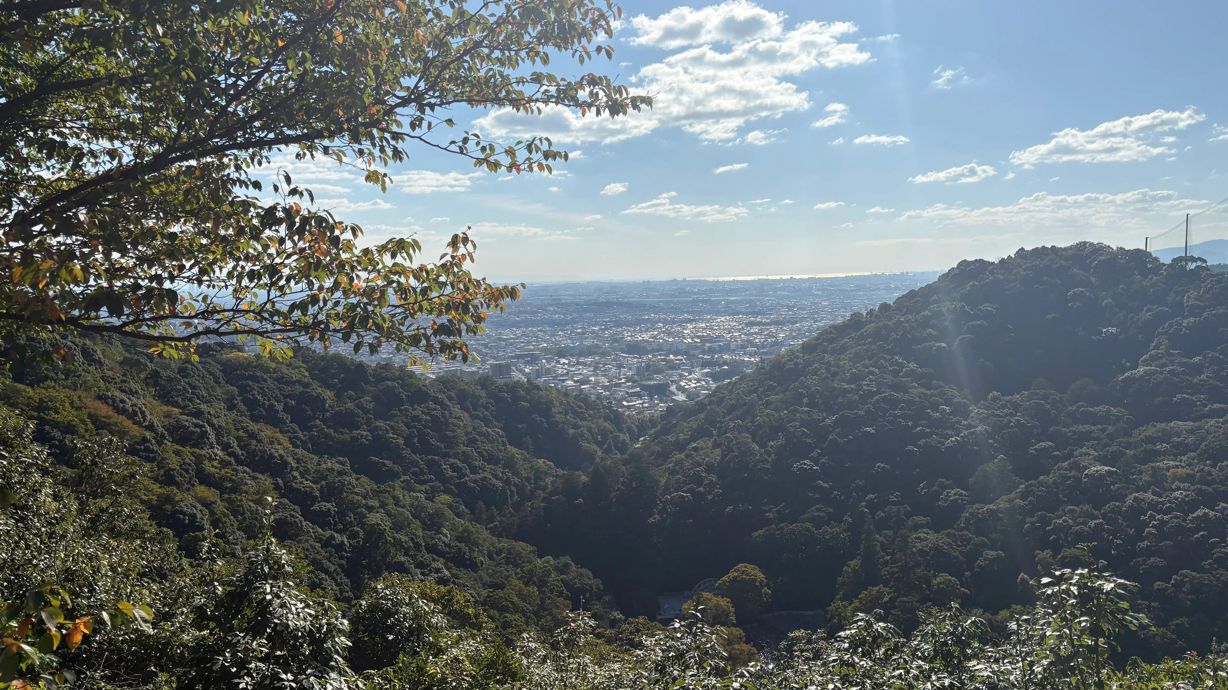 ASPI (6） | LIHKG 討論區