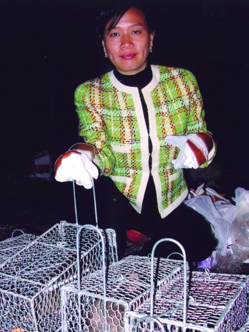 食環署新招計鼠患 稱東區「無鼠百分比」達96% | LIHKG 討論區