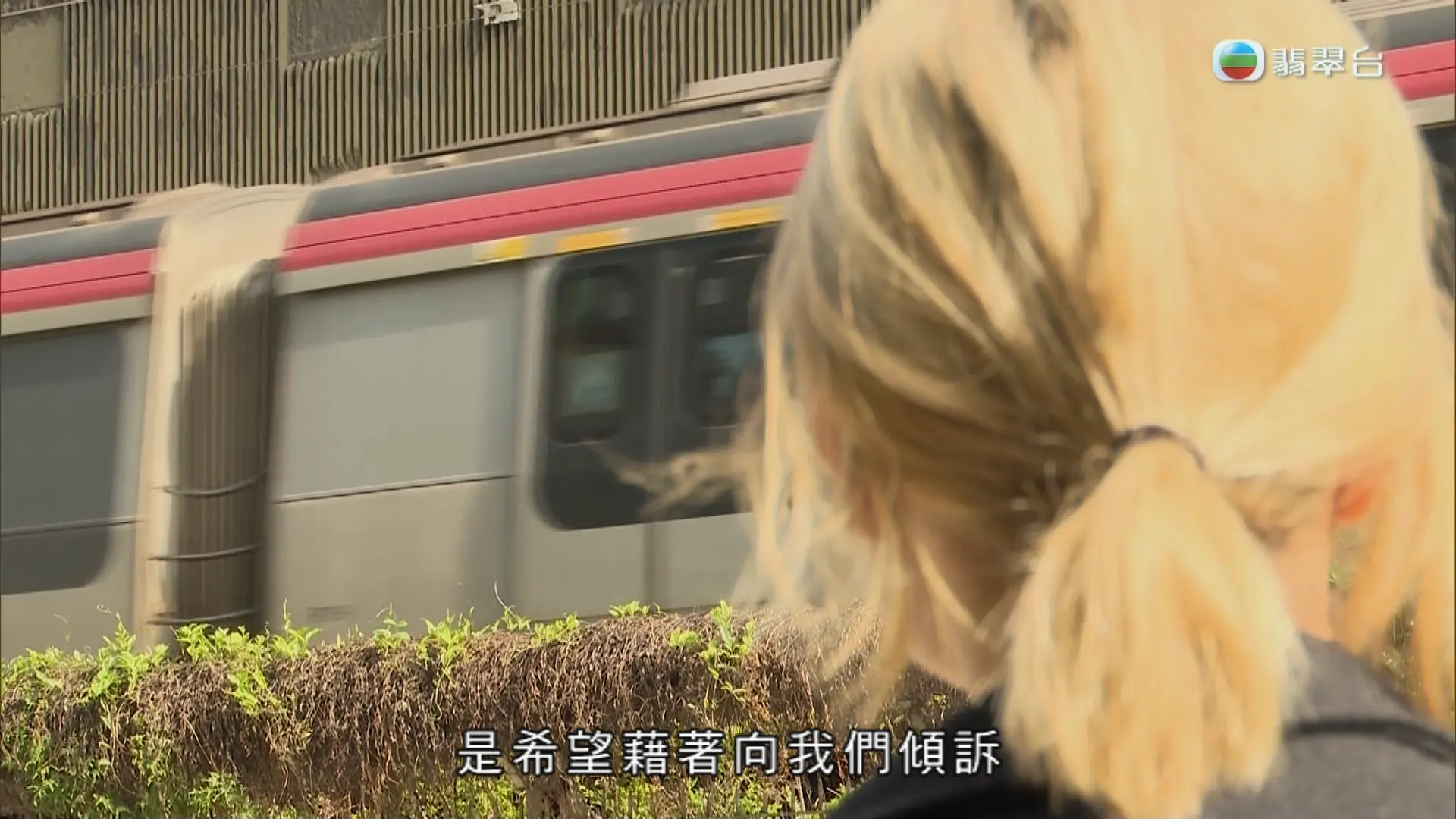 [TVB] 東張西望討論區 (211) | LIHKG 討論區