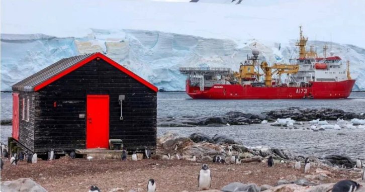 世界上最偏遠郵局在招人！工作內容「企鵝鏟屎官」 月薪7萬每年數百人搶報名 | LIHKG 討論區