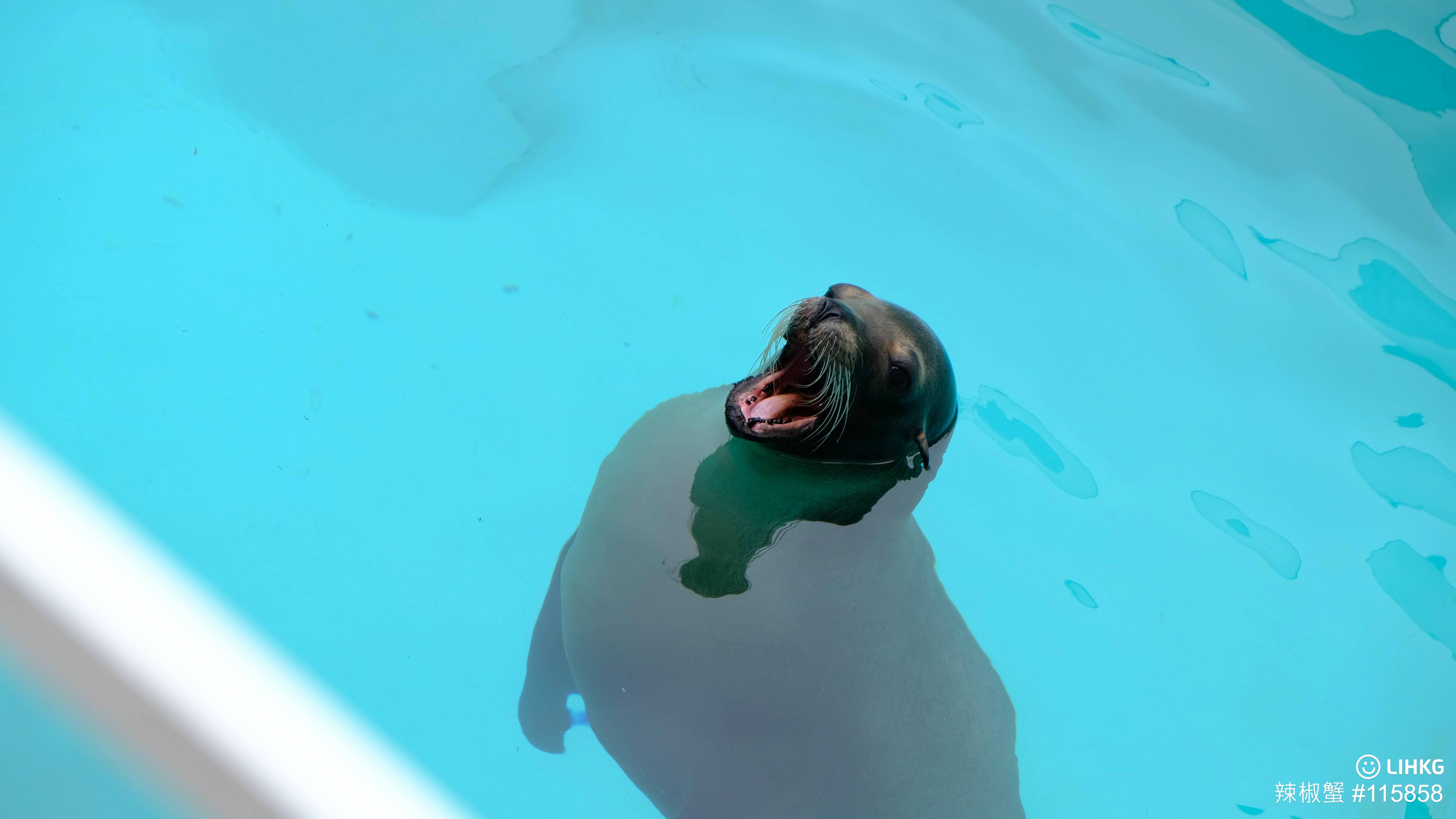 日本WH - 過得最唔似「我」既一年 (2) | LIHKG 討論區