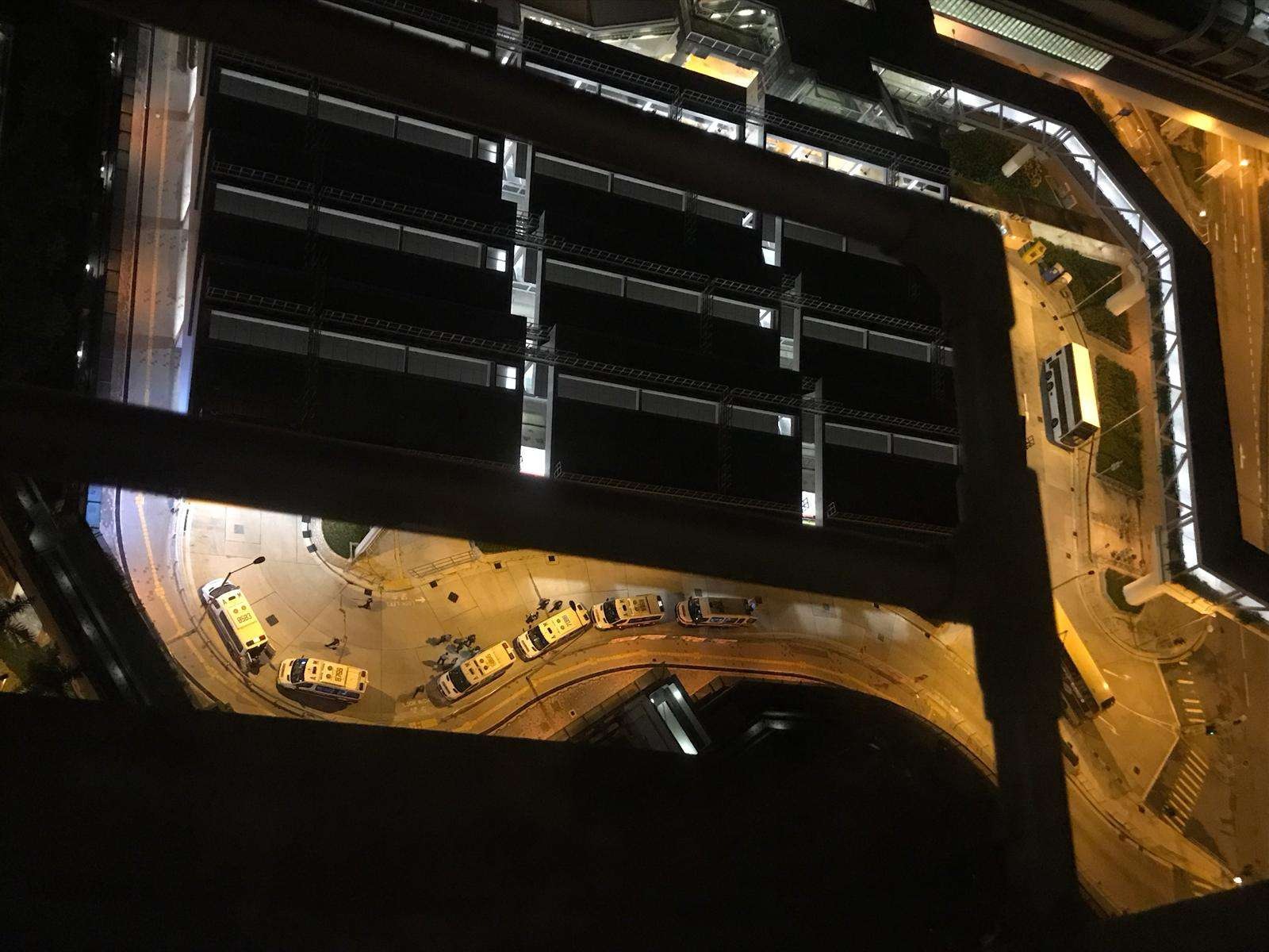 即時突發 天水圍西鐵k76巴士站嗰邊好多狗已經上緊裝備 | LIHKG 討論區