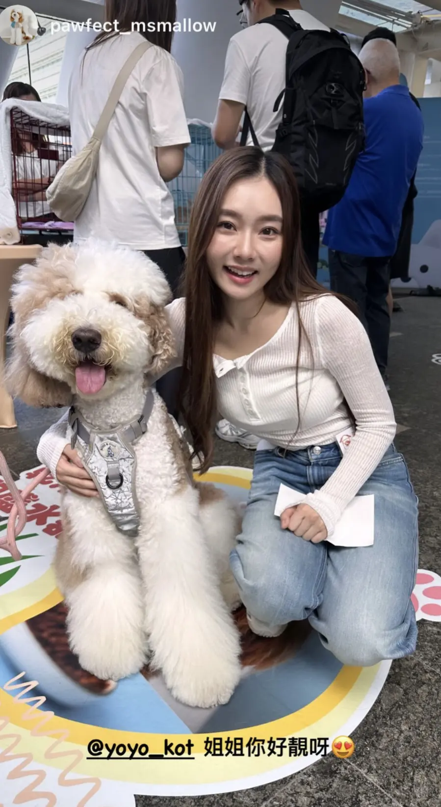 [無圖]想做隻狗比Yoyo撚 | LIHKG 討論區