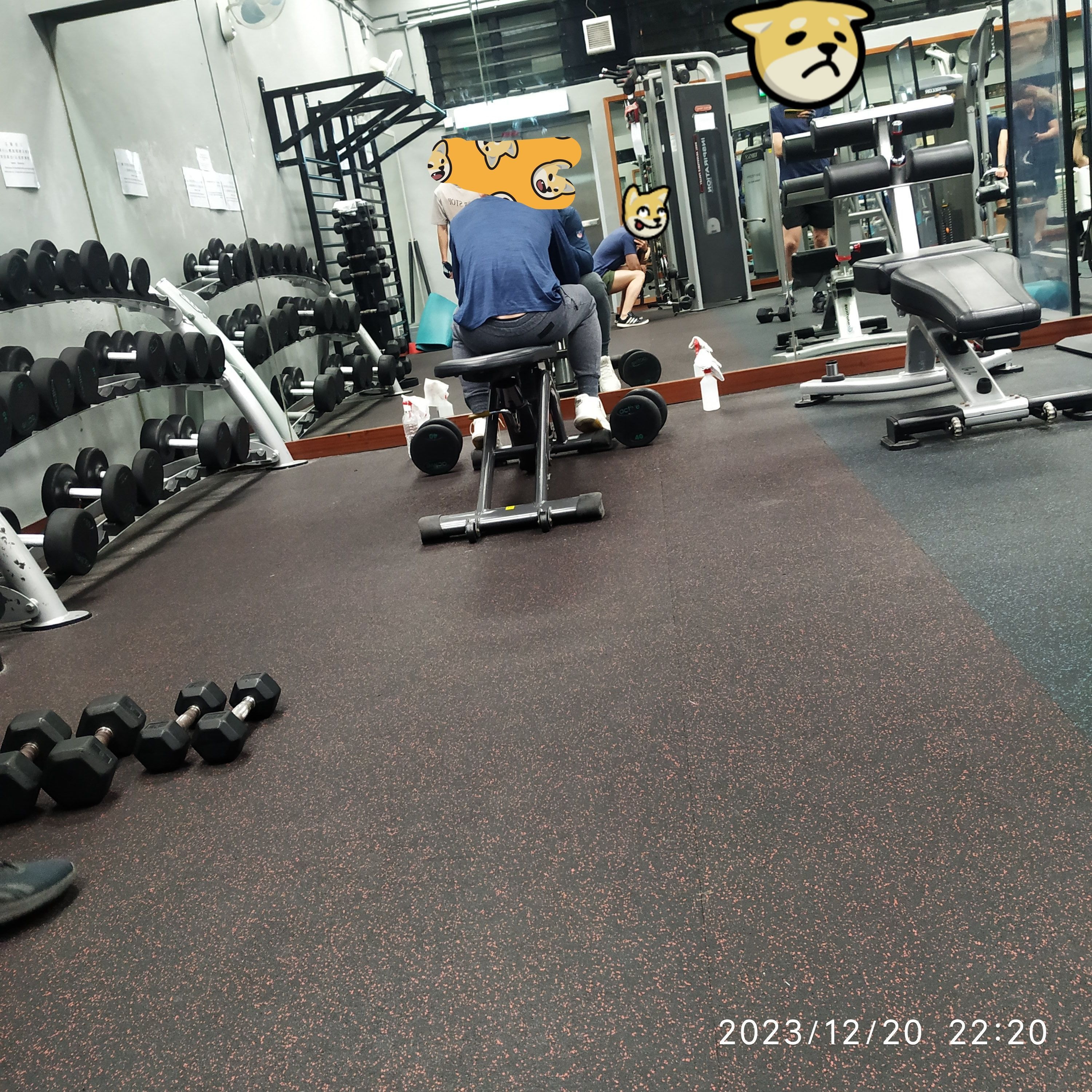 13度 不宜做gym | LIHKG 討論區