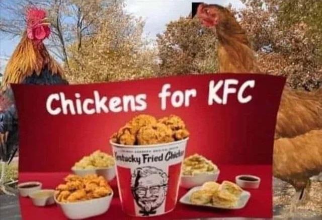 以色列總理美國國會演說：gay for gaza不如chickens for kfc啦 | LIHKG 討論區