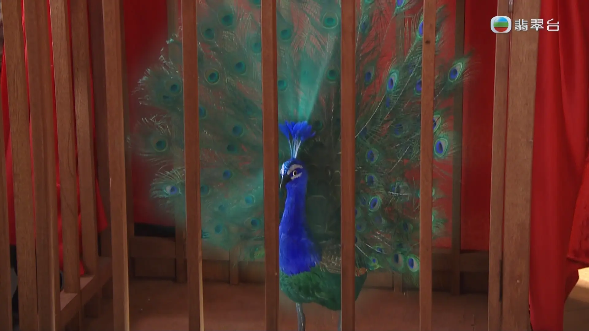 開心速遞 （512） | LIHKG 討論區