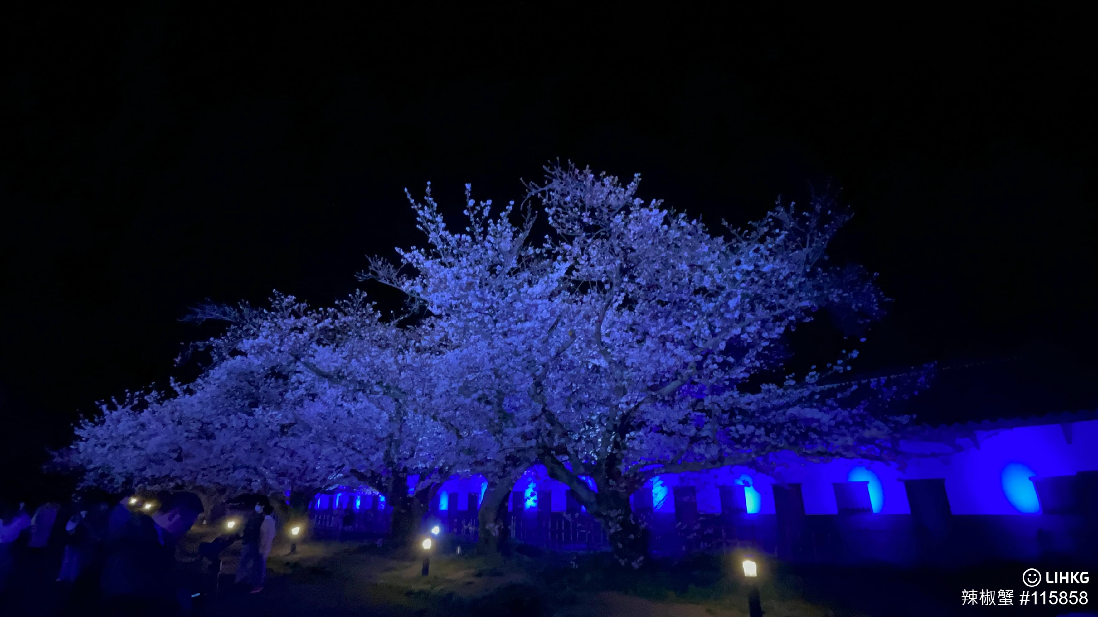 日本WH - 過得最唔似「我」既一年 (2) | LIHKG 討論區