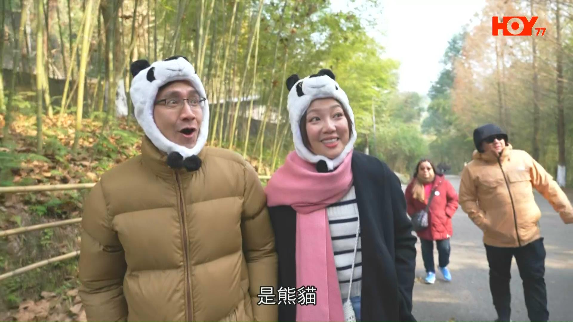 臥底旅行團4.0 （4） | LIHKG 討論區