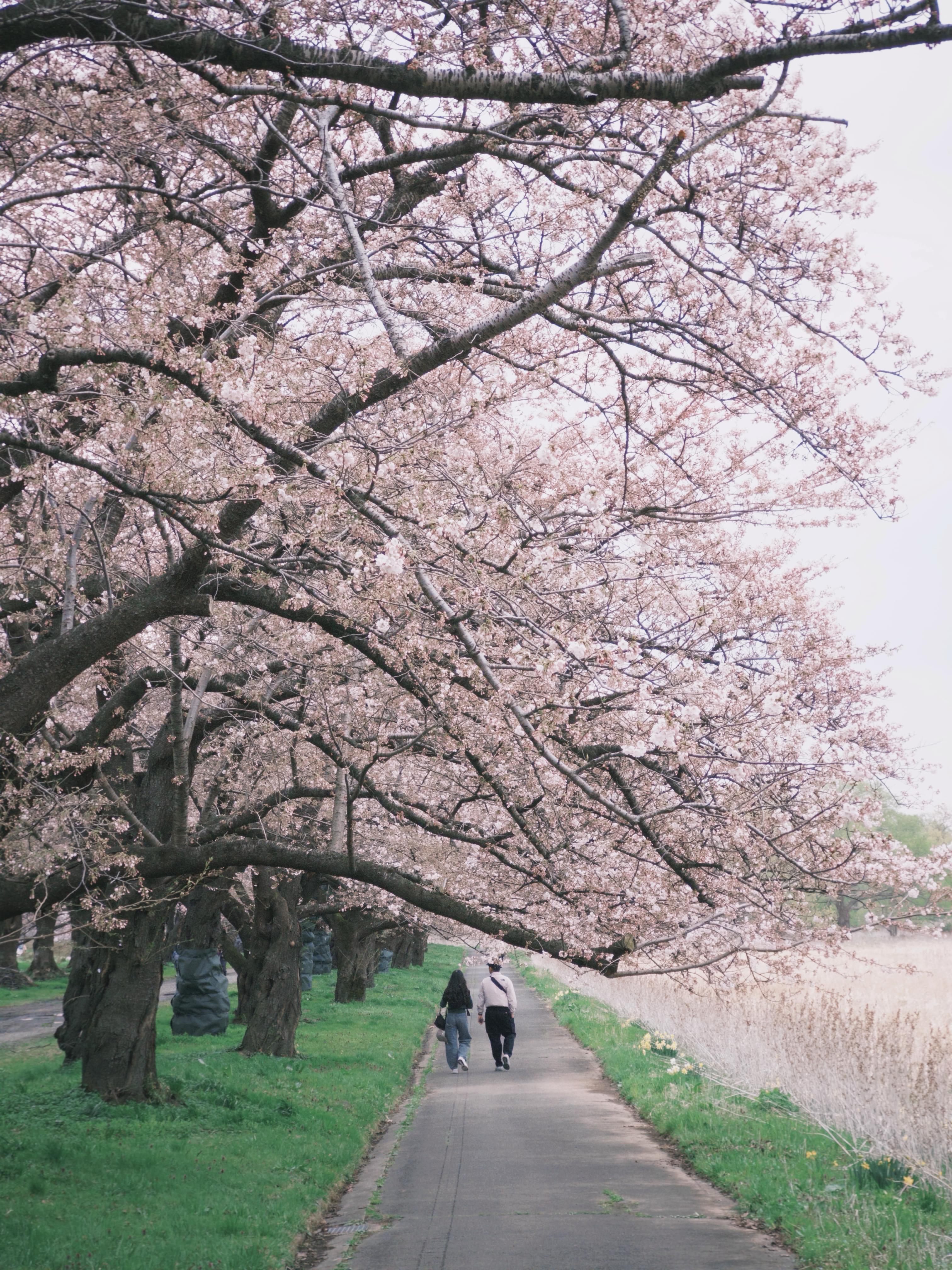 日本旅遊討論區（76） | LIHKG 討論區