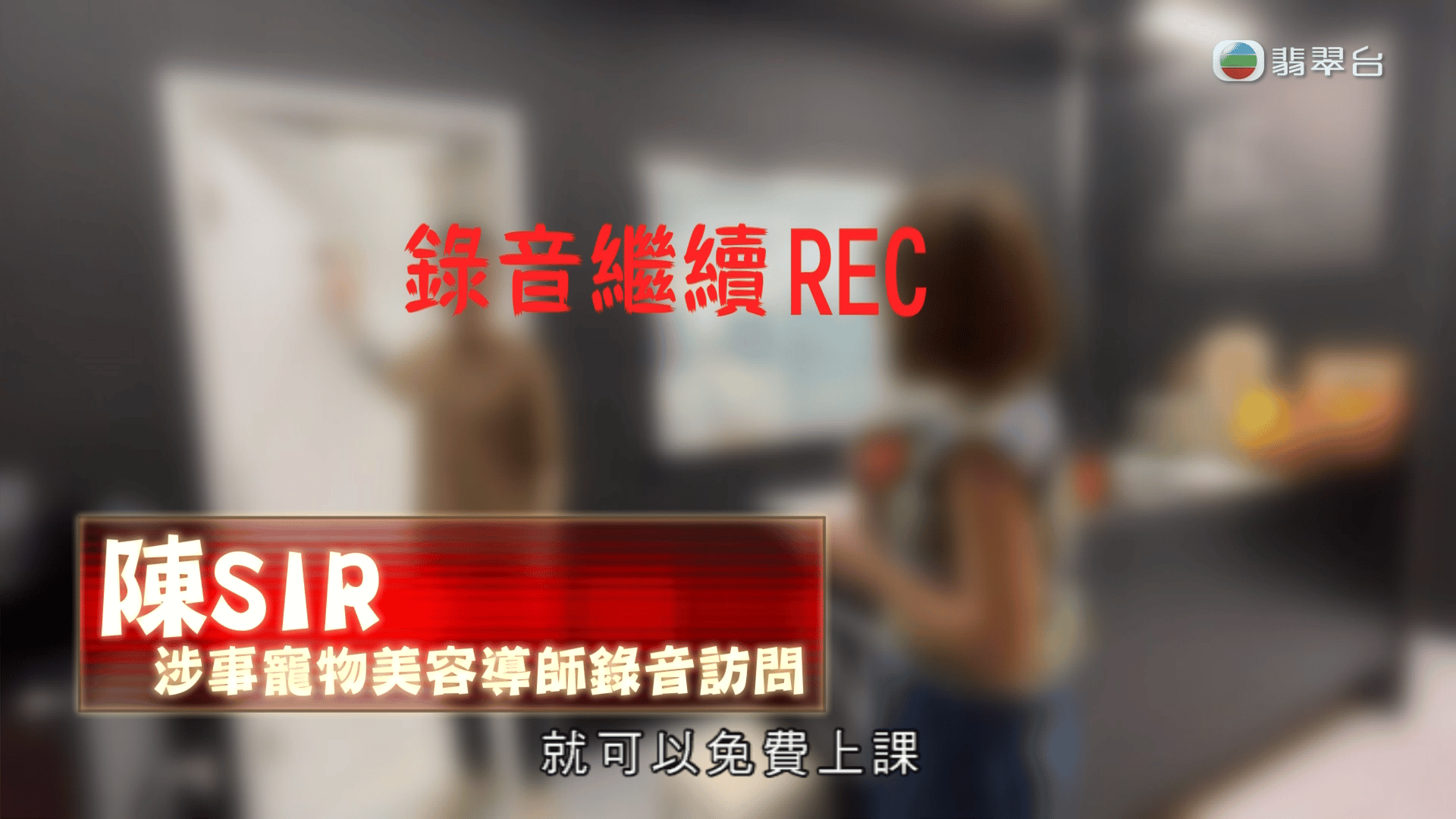 [TVB] 東張西望討論區 (150) | LIHKG 討論區