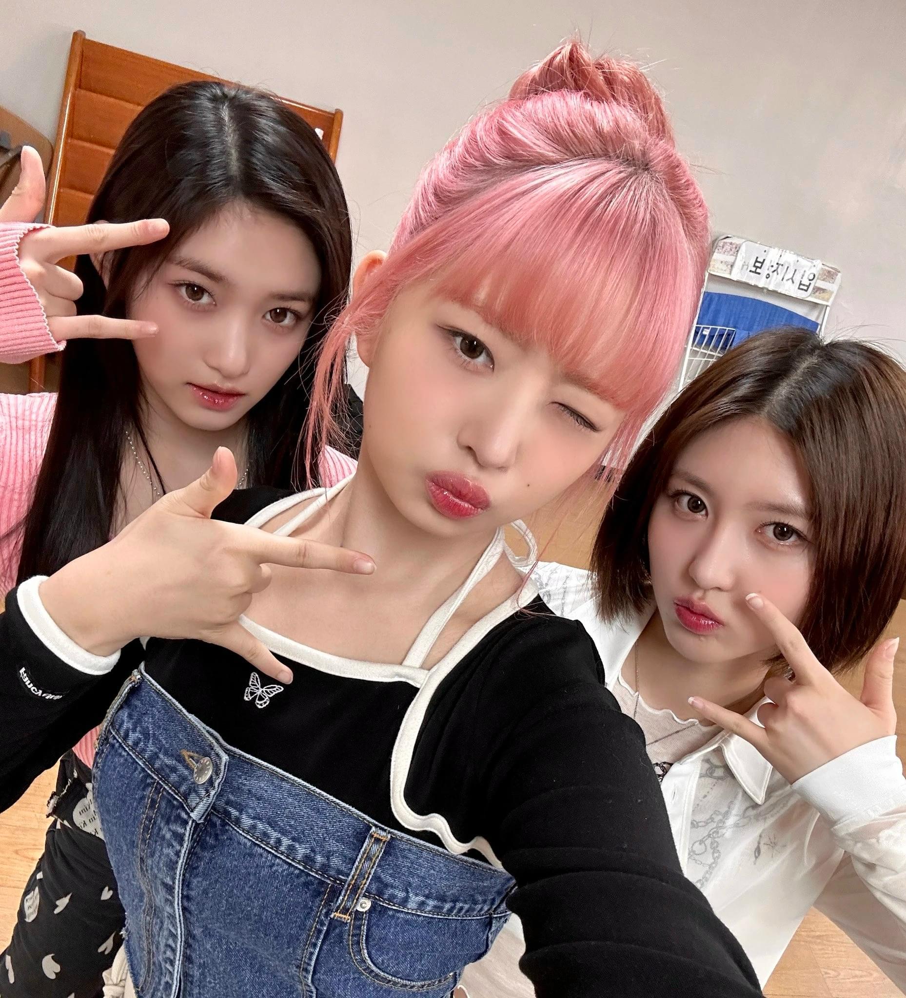 LIZ 金志垣 IVE上弦一 | LIHKG 討論區