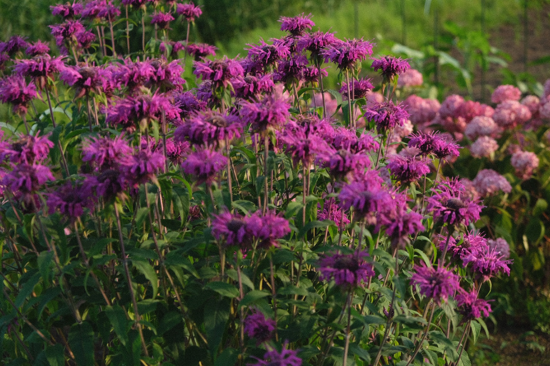 日本旅遊討論區（34） | LIHKG 討論區