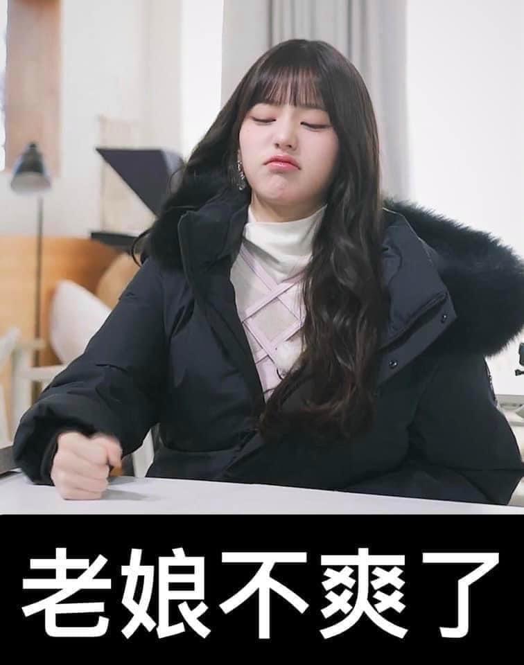 俞真 MMA | LIHKG 討論區