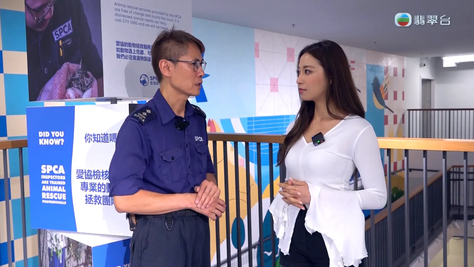 [TVB] 東張西望討論區(257) | LIHKG 討論區