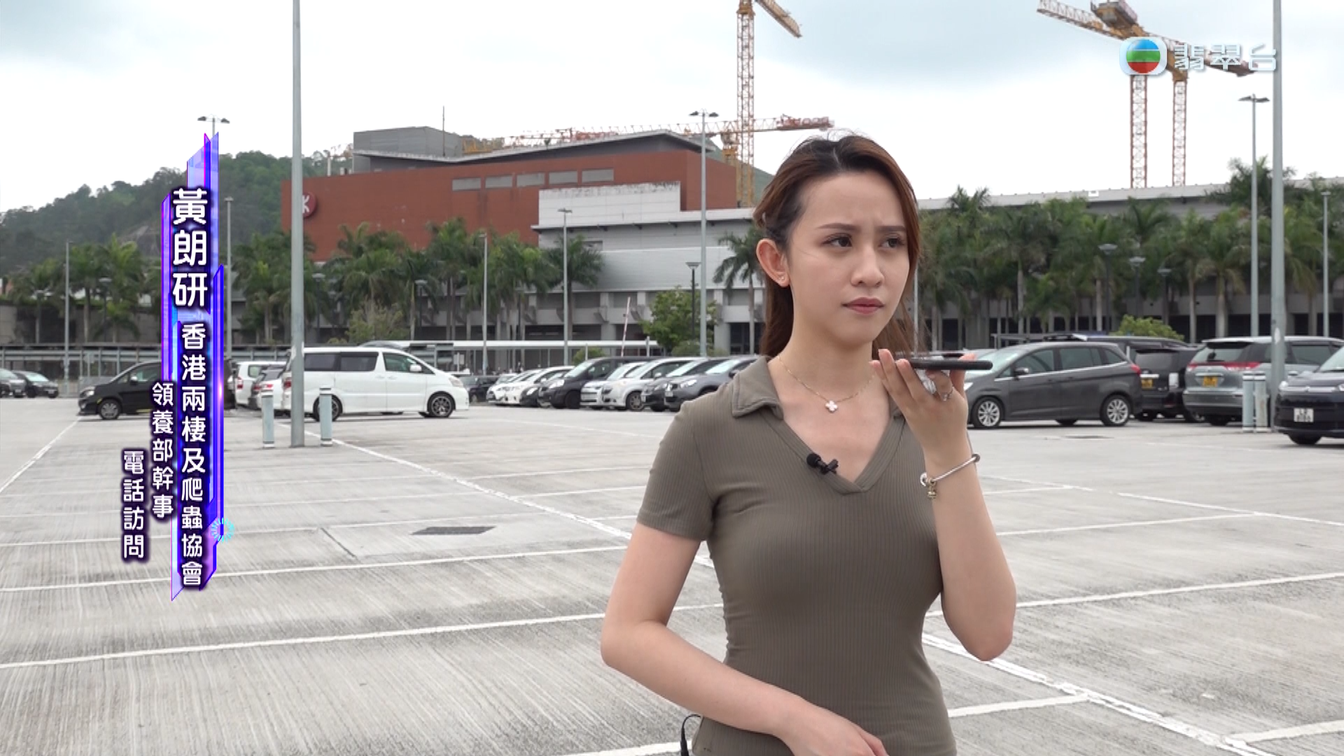 [TVB] 東張西望討論區 (85) | LIHKG 討論區