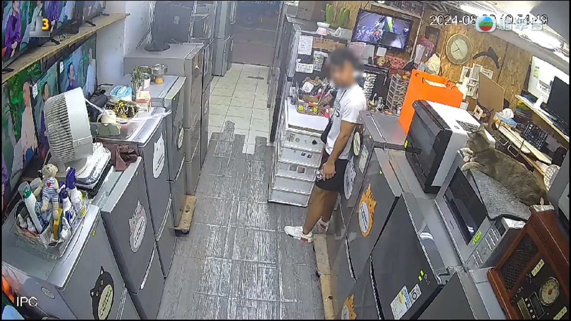 [TVB] 東張西望討論區 (171) | LIHKG 討論區