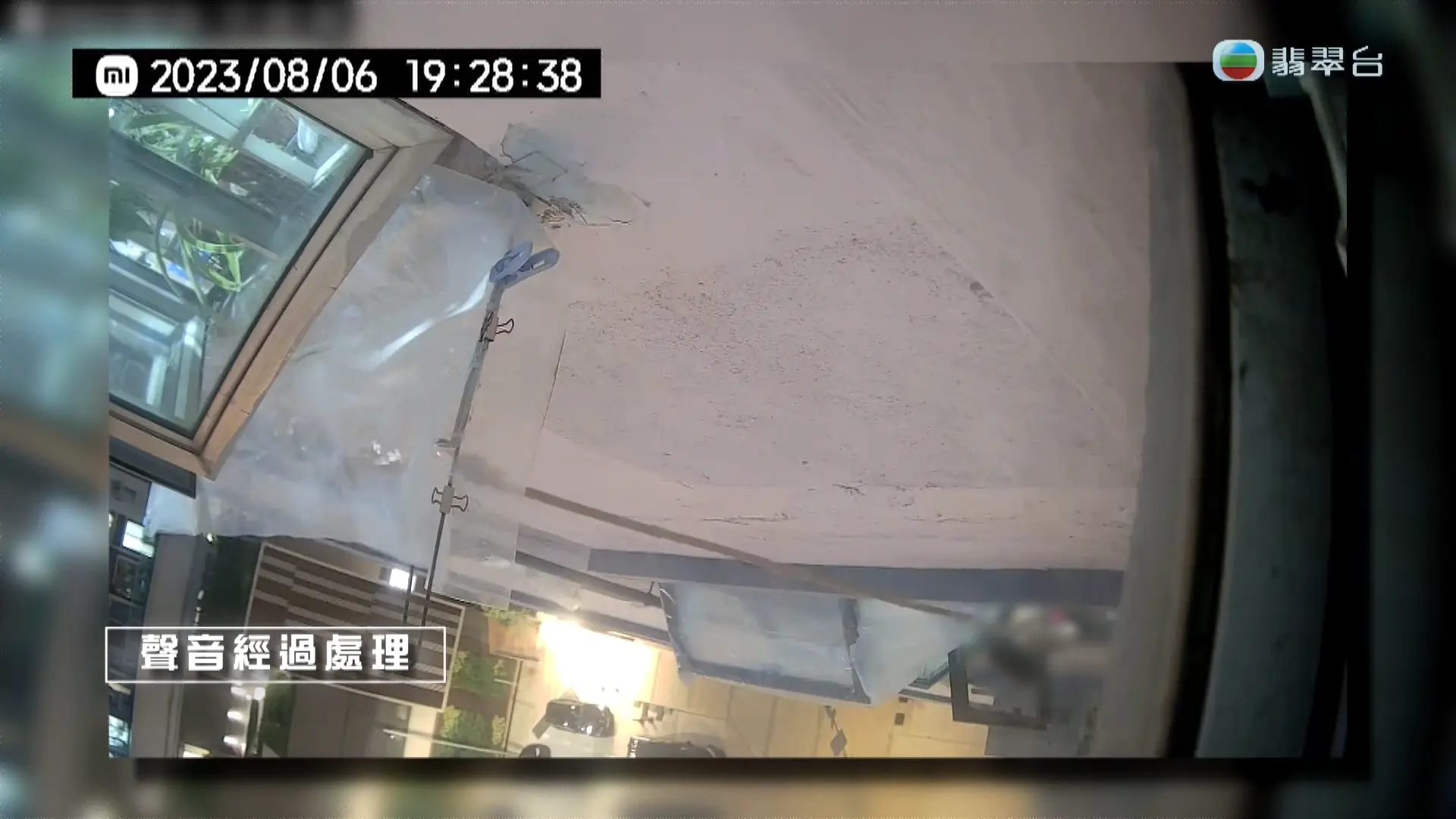 [TVB] 東張西望討論區 (209) | LIHKG 討論區