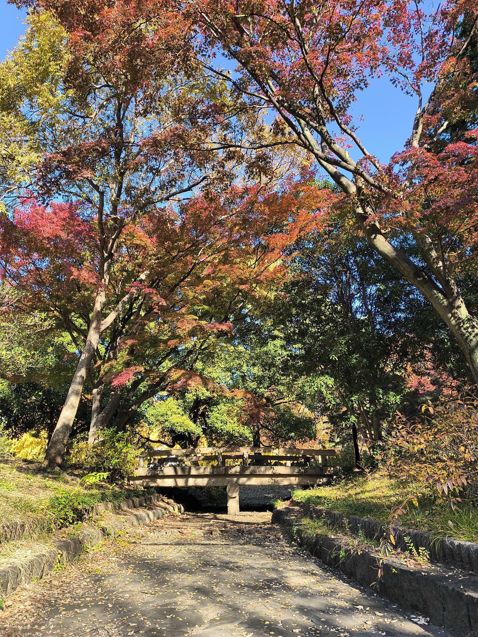 清澄白河 hea行咖啡之旅 | LIHKG 討論區