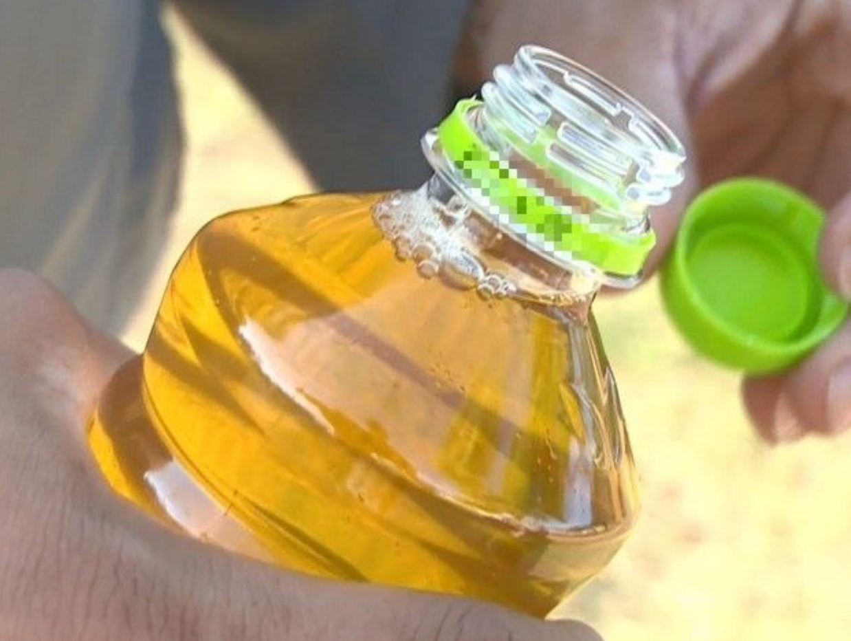 衰仔，好玩唔玩，你玩X ！！！ | LIHKG 討論區