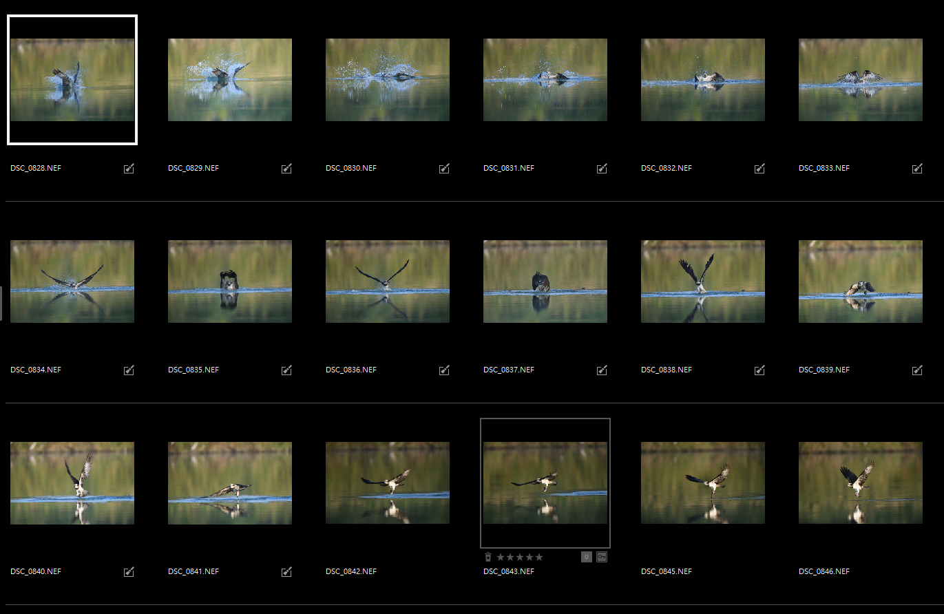 影雀大師烏鴉#104387教你如何構圖 | LIHKG 討論區