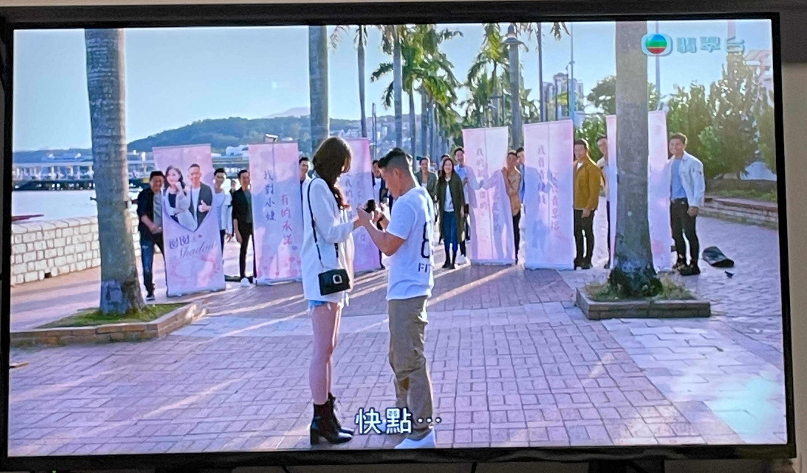 無聊睇下電視發現tvb d 劇真係垃圾到不堪入目 | LIHKG 討論區