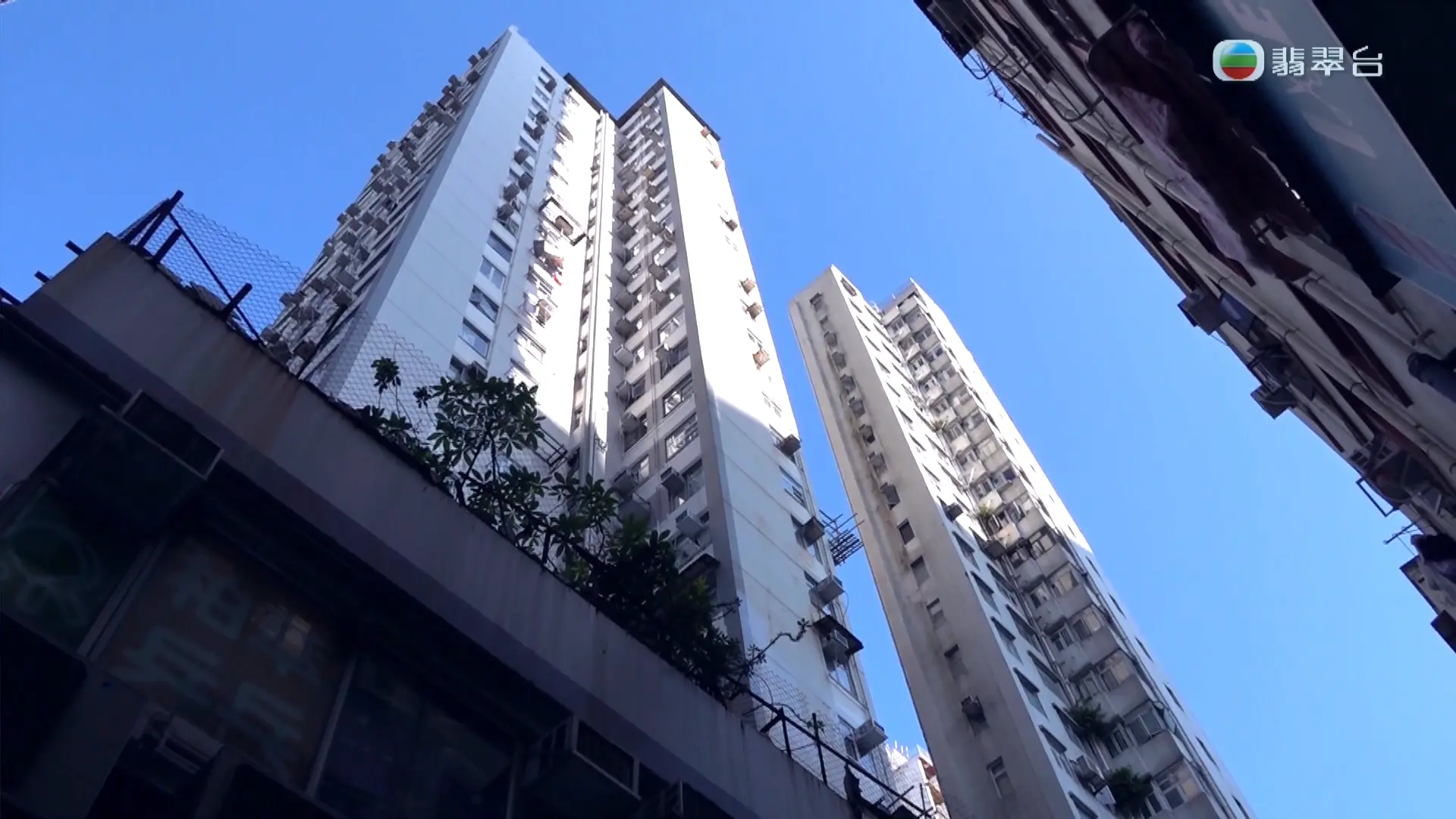 [TVB] 東張西望討論區(256) | LIHKG 討論區