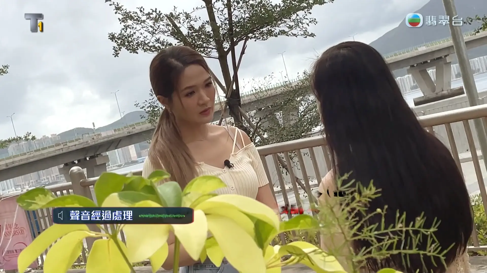 [TVB] 東張西望討論區 (163) | LIHKG 討論區