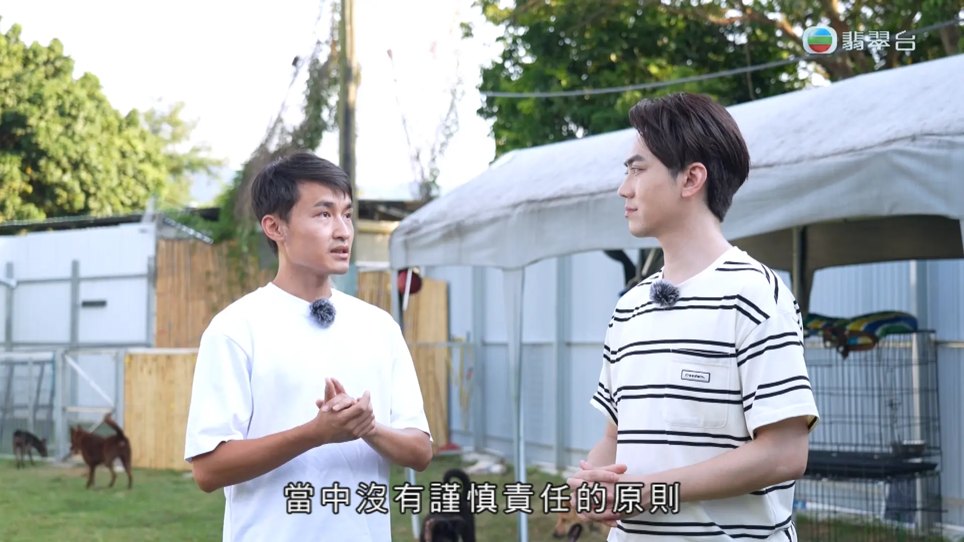 [TVB] 東張西望討論區 (170) | LIHKG 討論區